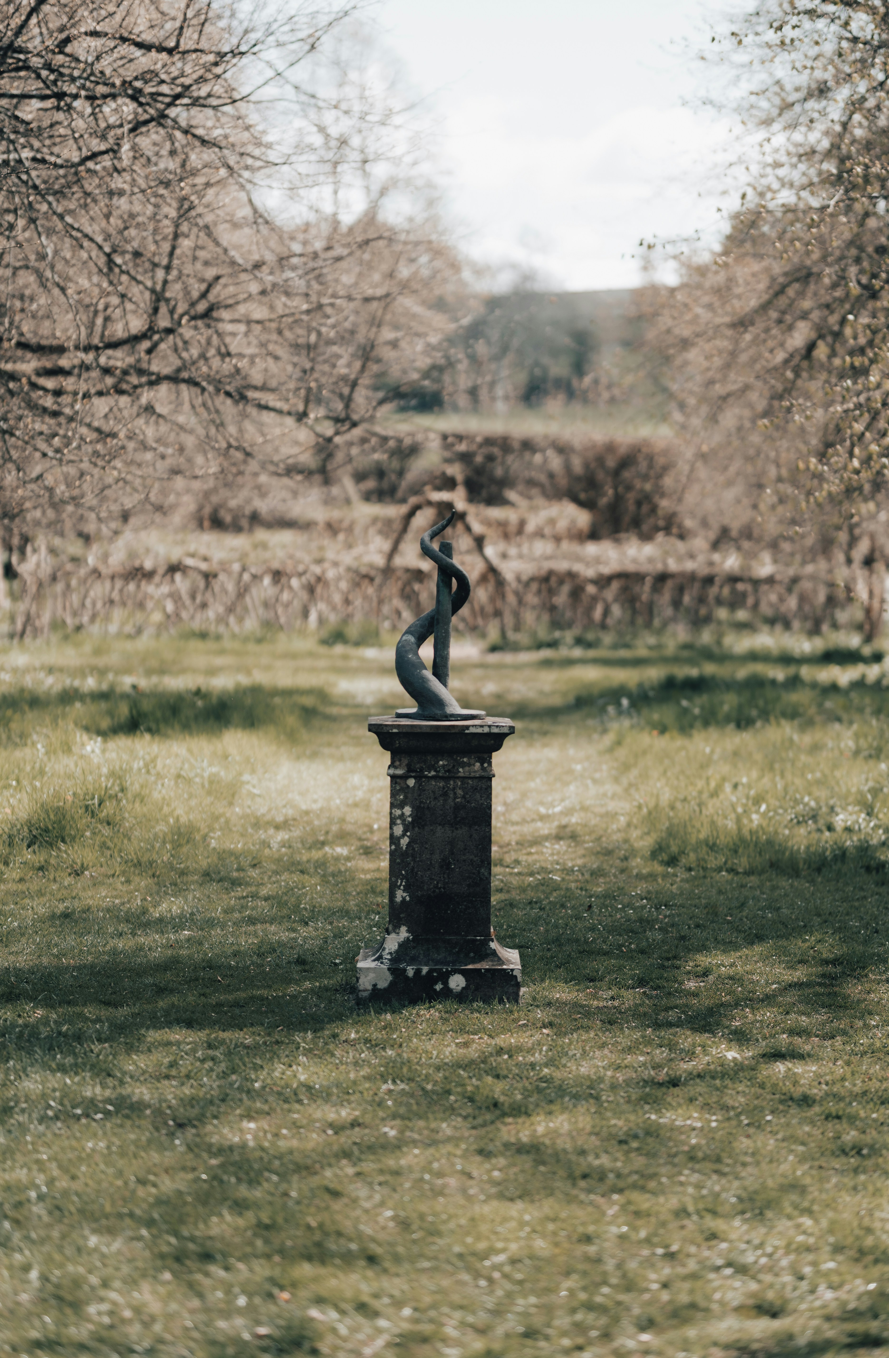 Serpentine sculpture crowned by quiet orchard winds