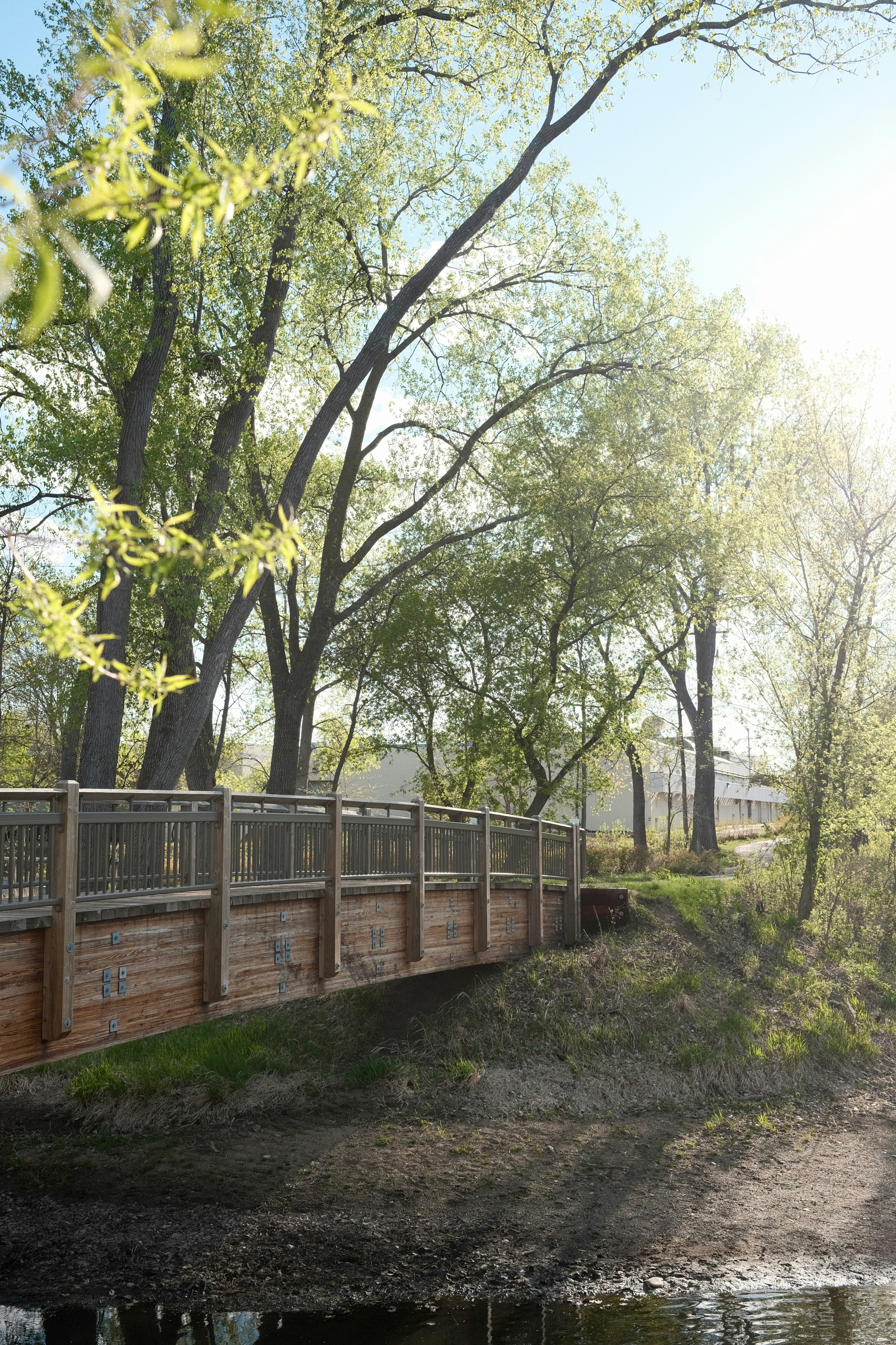 Sunlit Wooden Bridge Framed by Spring Canopy Over a Quiet River
