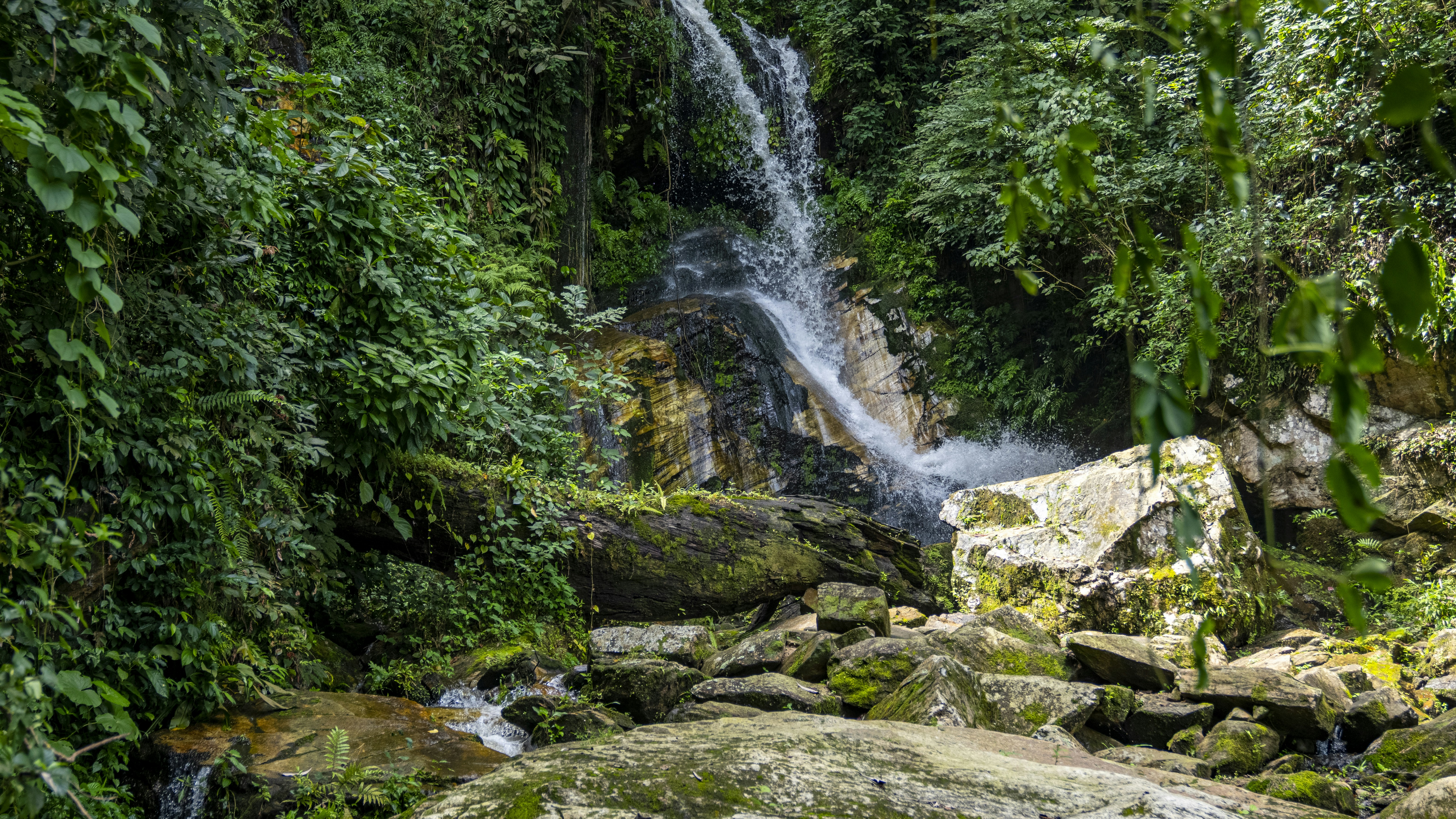 A serene waterfall flows gracefully over moss-covered rocks, surrounded by lush greenery in a tranquil forest setting.