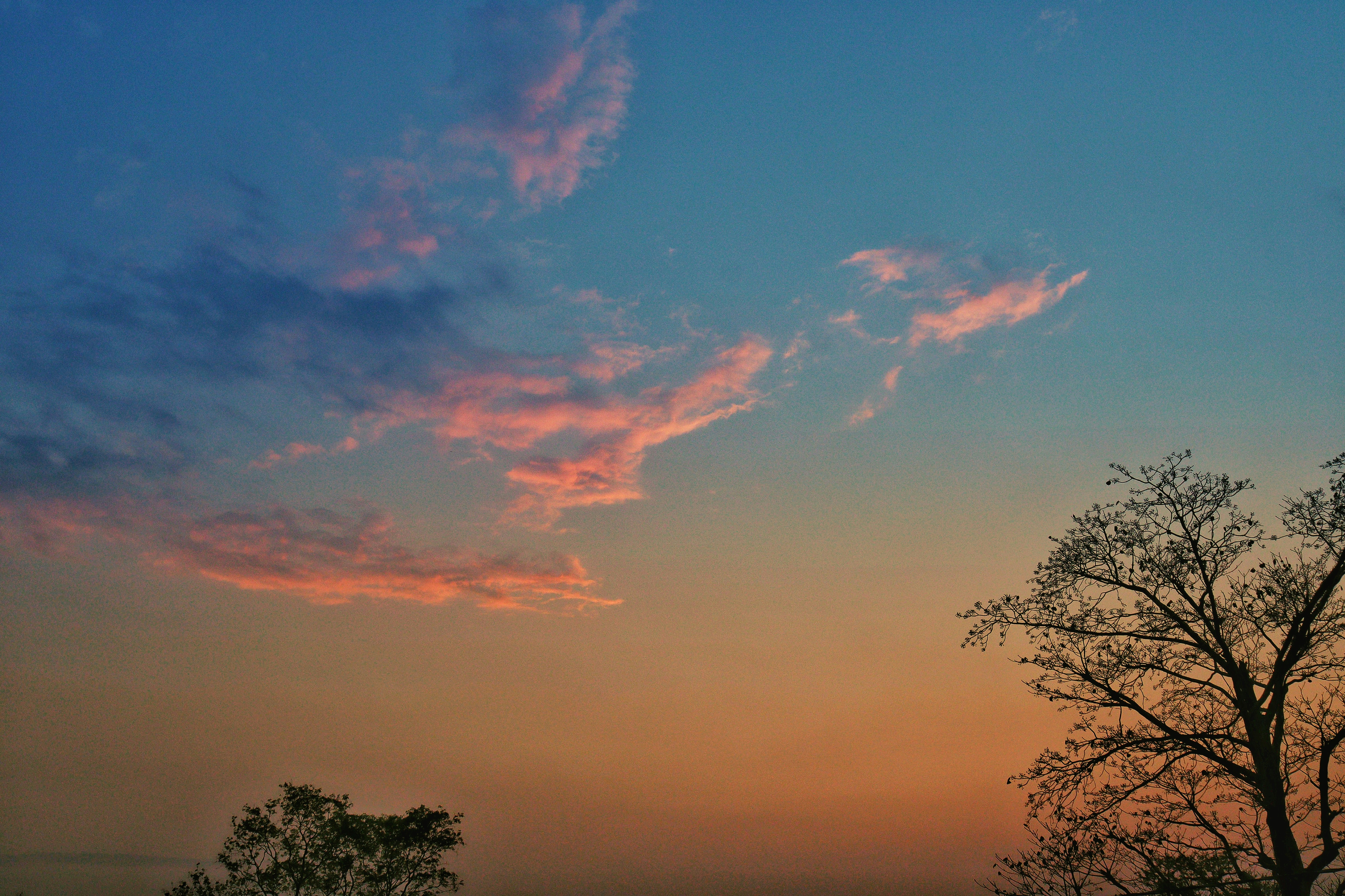 Prince Negi (@photographer77) | Unsplash Photo Community