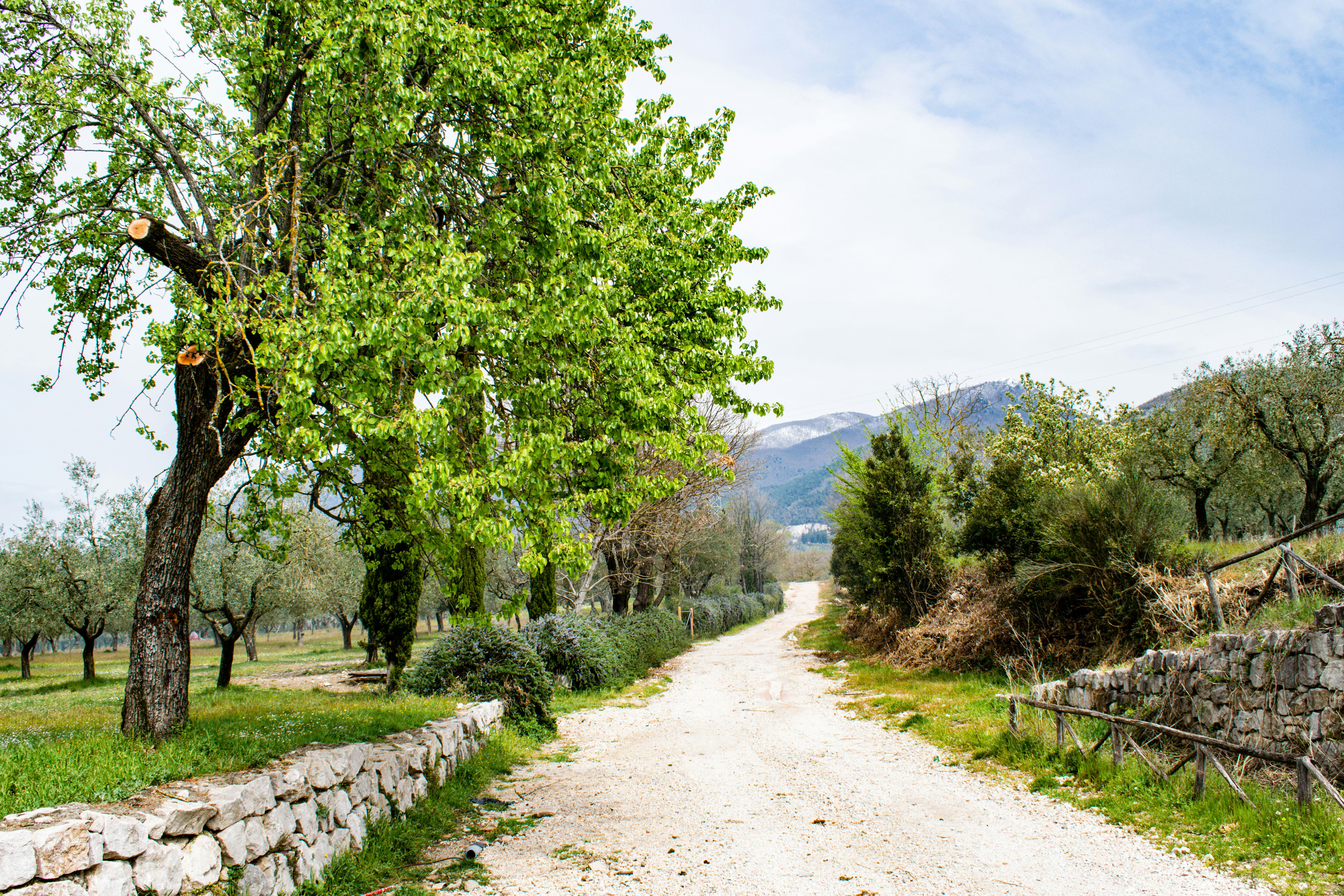 Dirt path winding through a lush, green landscape with distant mountains under a clear sky.