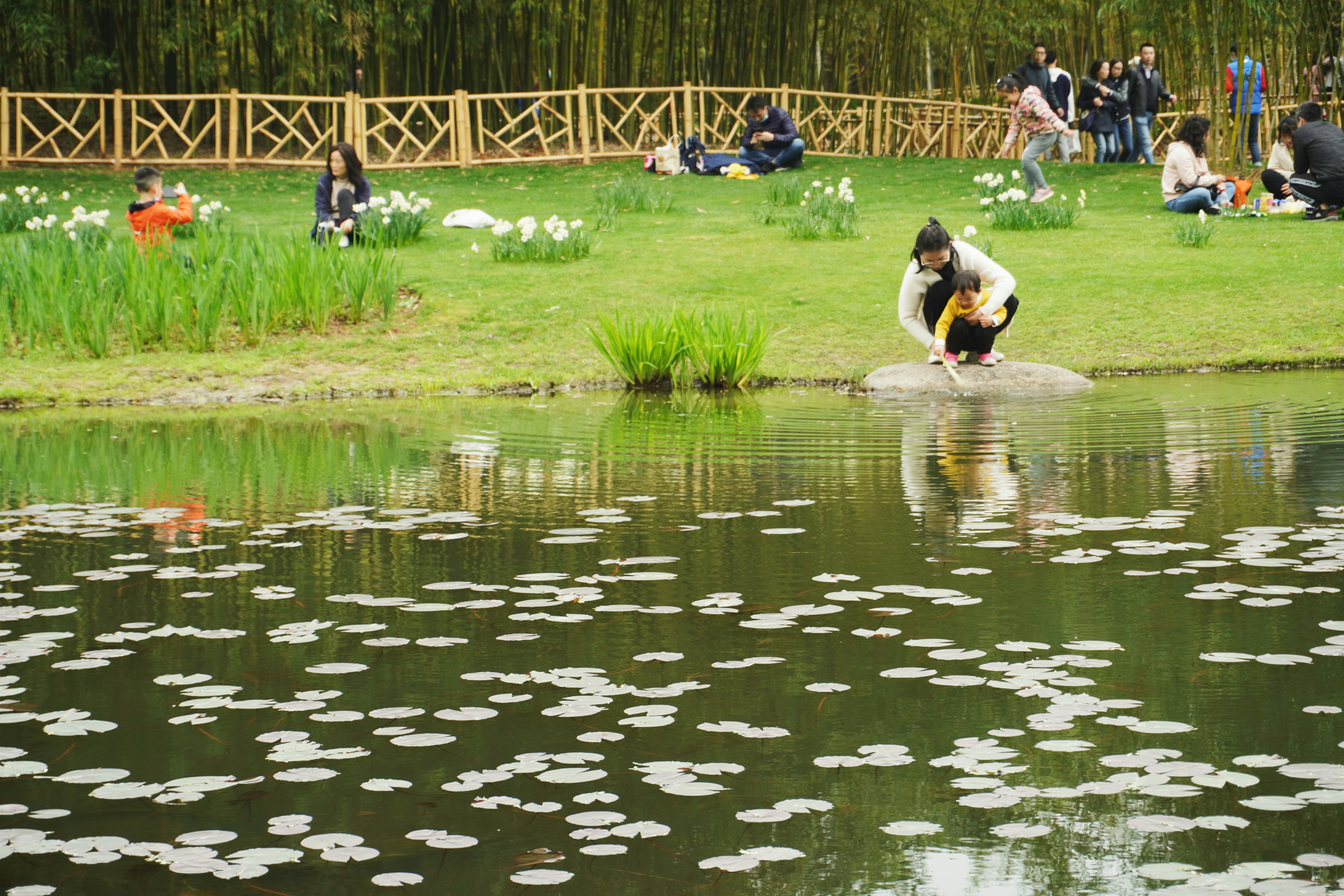 A parent and child interact by a serene pond surrounded by blooming lilies, while others enjoy the lush green park in the background.
