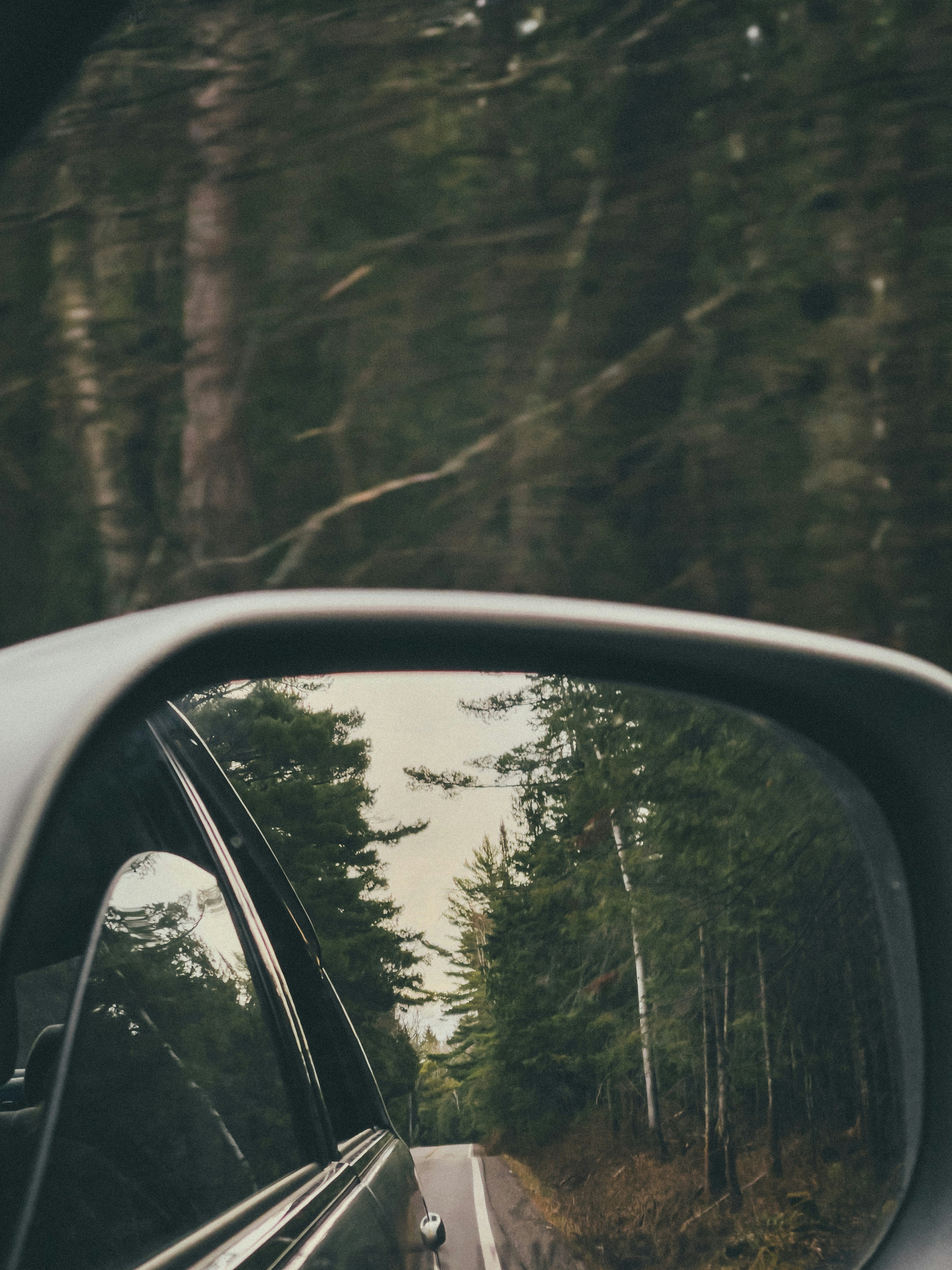 Side mirror reflecting a winding road through a dense forest, capturing the essence of a serene drive.
