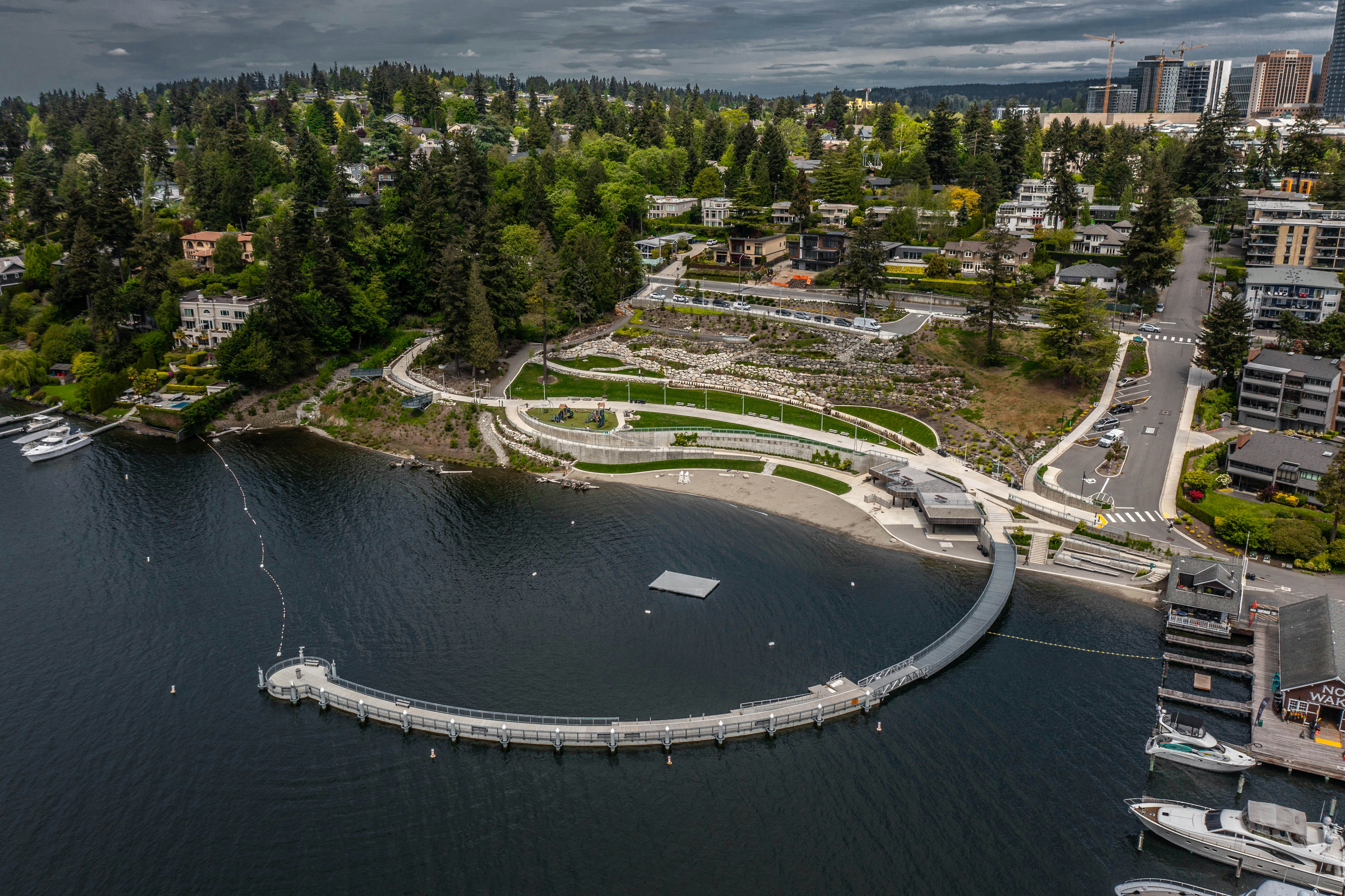 Aerial view of green trees near body of water during daytime photo ...