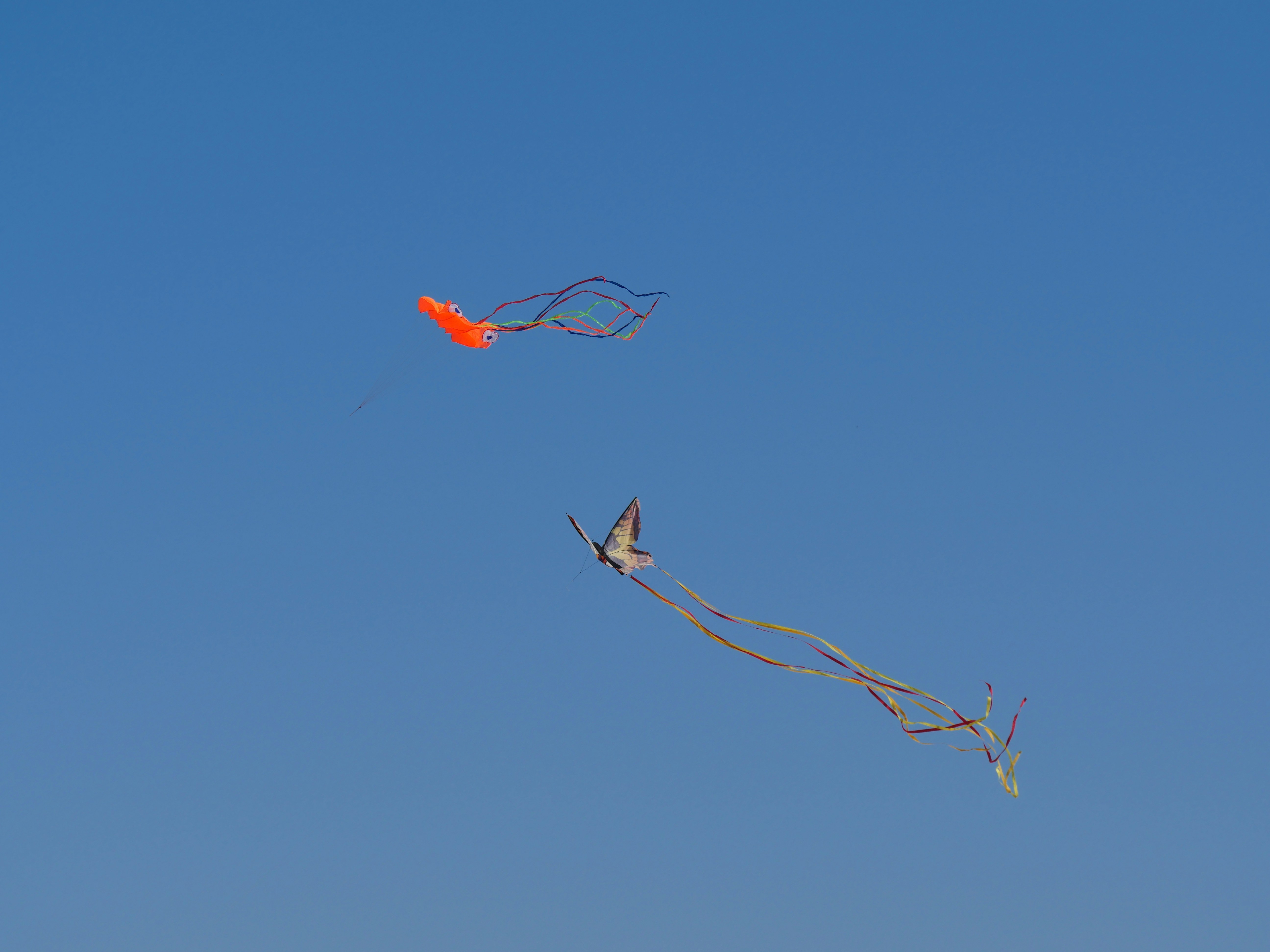 Colorful kites soaring against a clear blue sky, their tails fluttering gracefully in the wind.