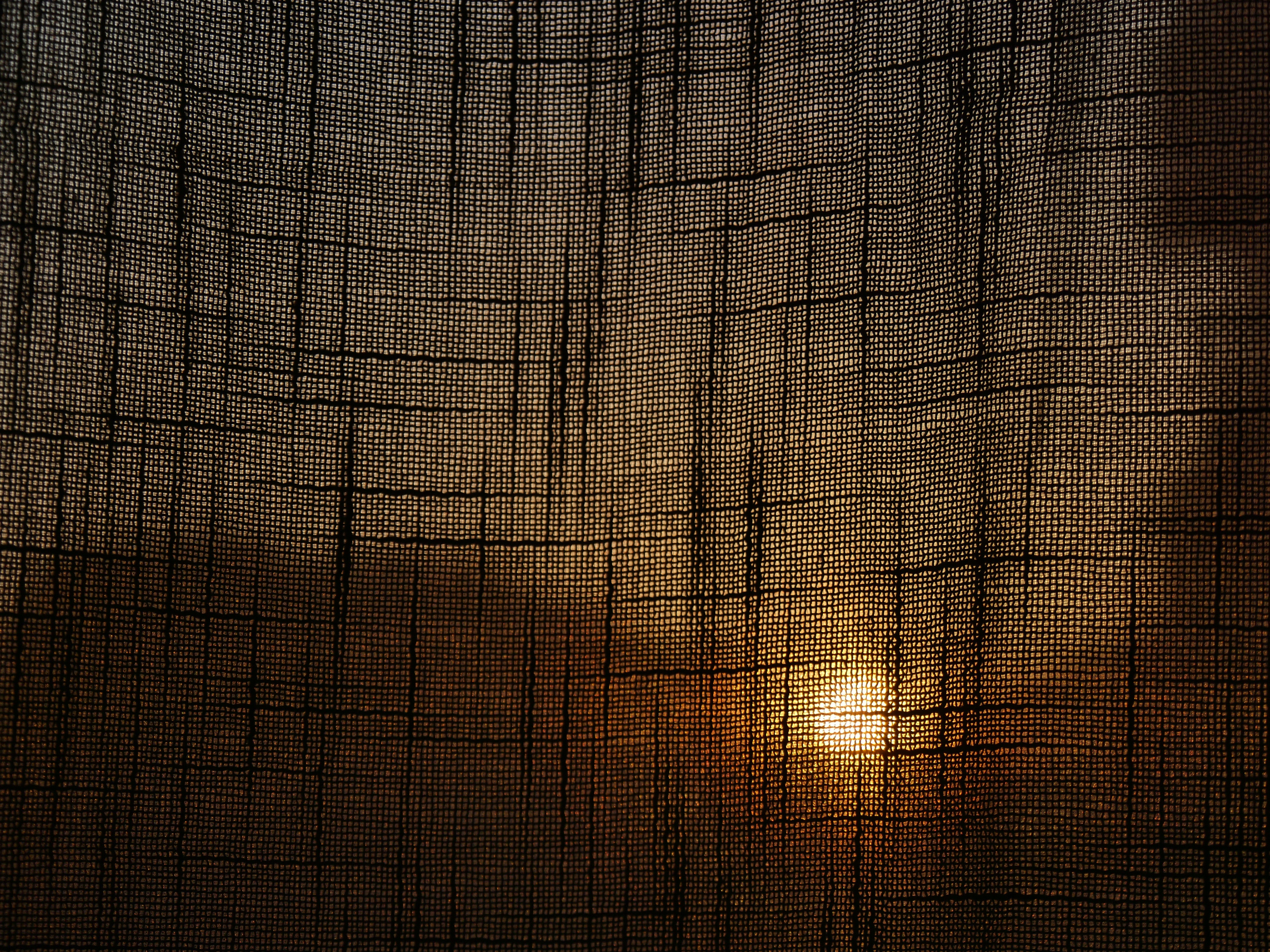 Sunset Grid: Warm Light Through a Textured Veil