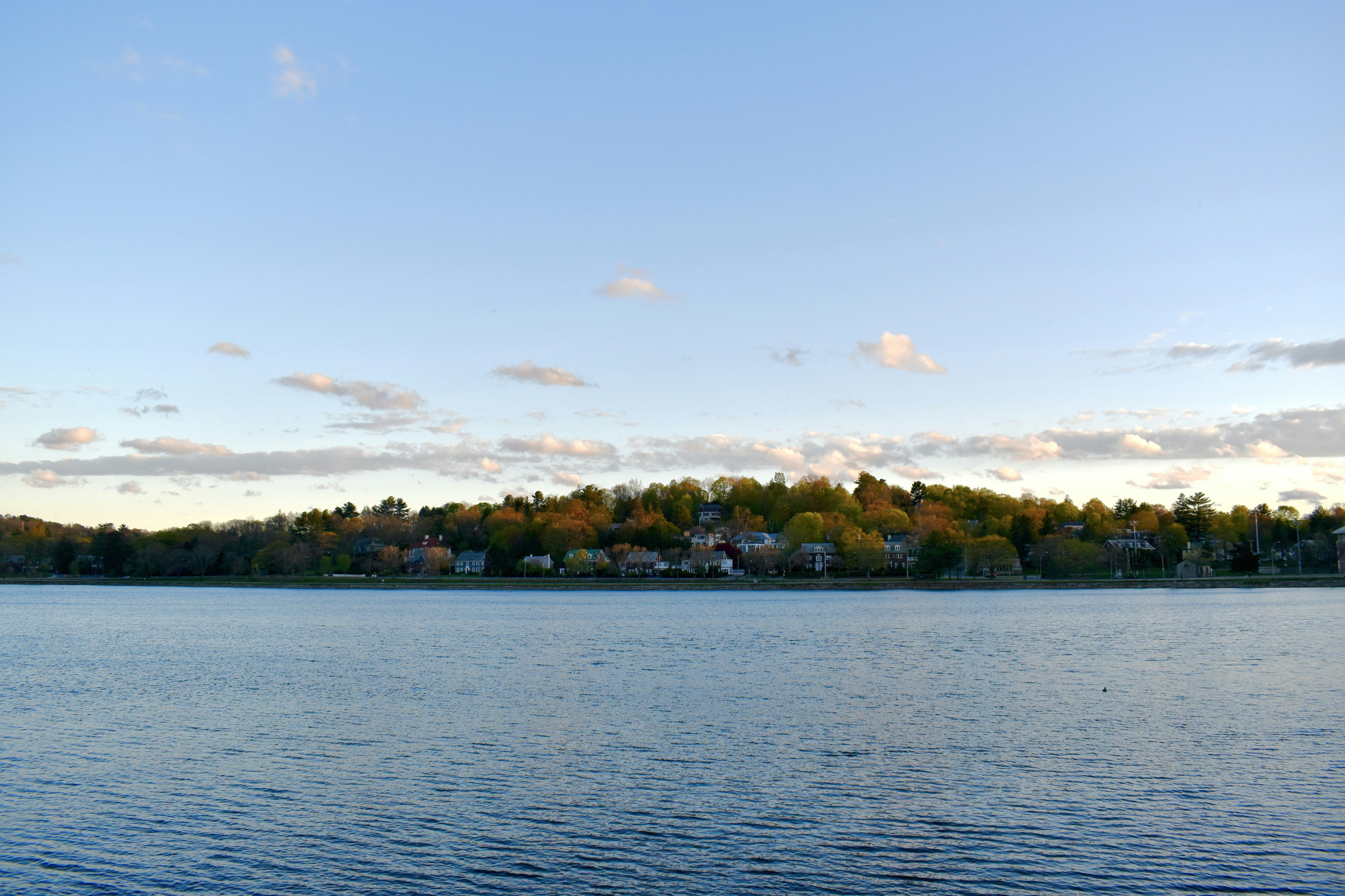 Golden Horizon: Homes Perched on a Dappled Autumn HillFaith Crabtree