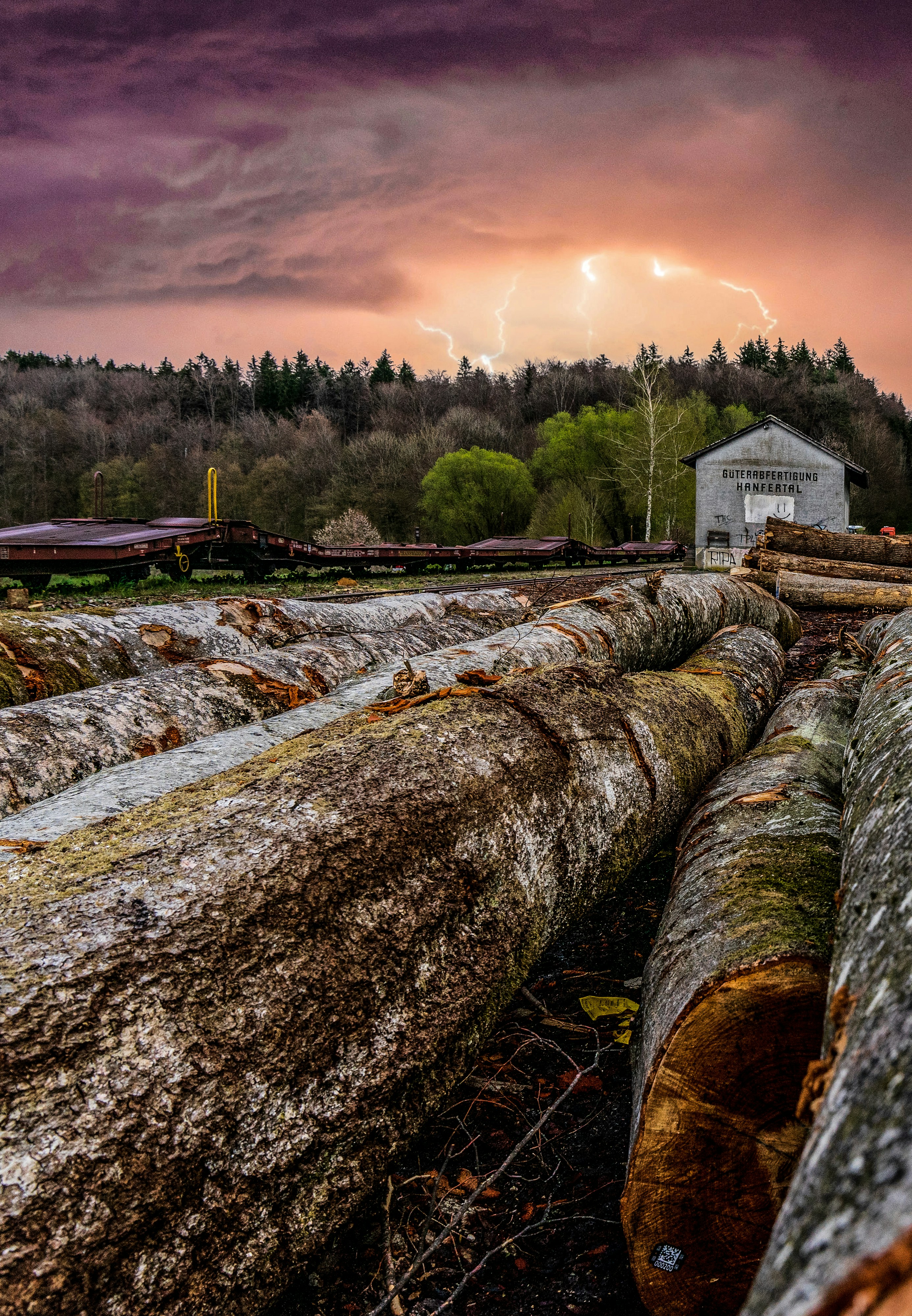 Fallen logs stretch across the foreground, while a dramatic stormy sky looms overhead, illuminated by flashes of lightning in the distance.