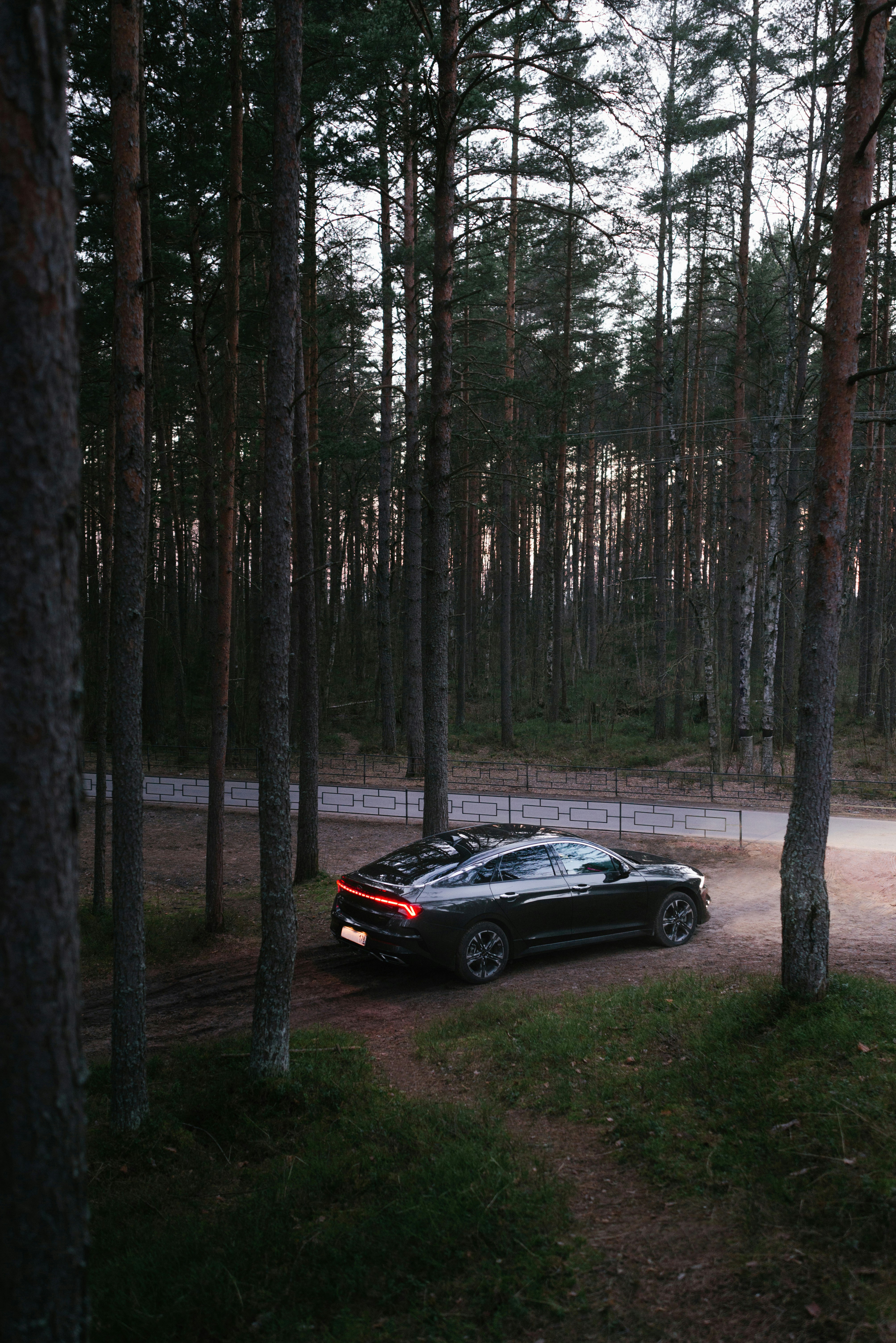Noir Coupe Resting Under Tall Pines at Twilight