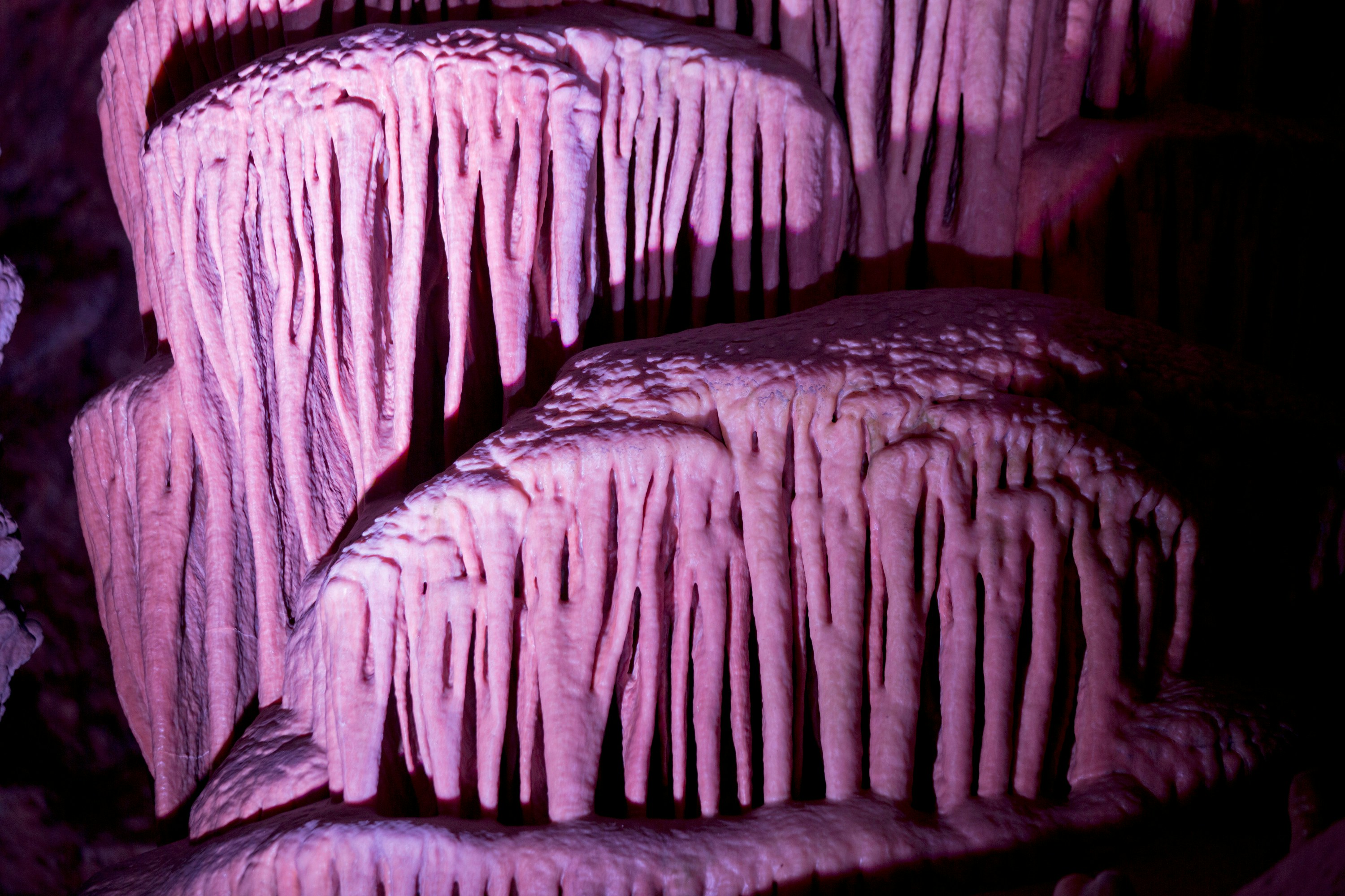 Intricate stalactites adorned with soft pink lighting, showcasing the natural beauty of cave formations. The delicate textures and shapes create a mesmerizing underground landscape.