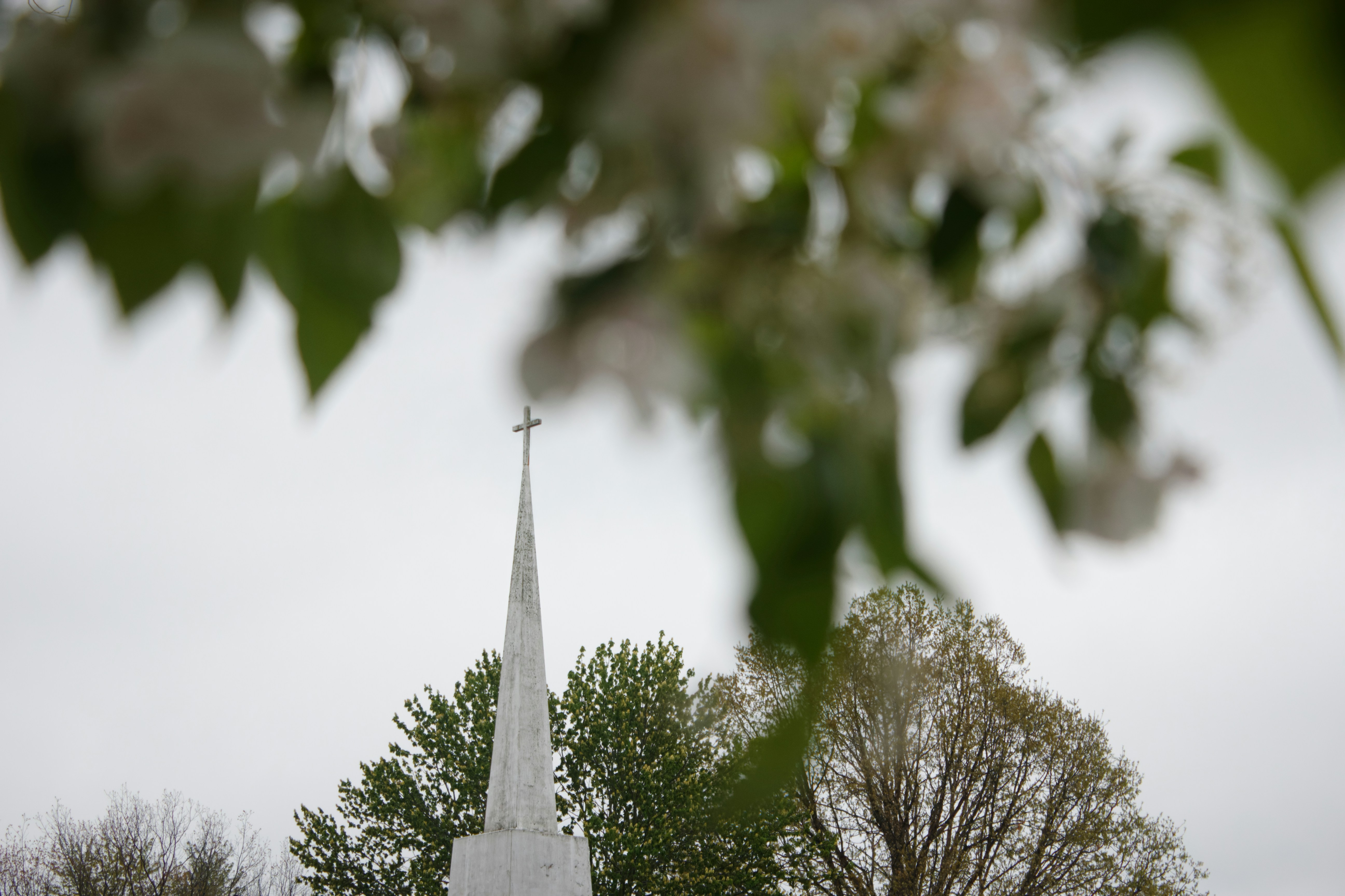 Cross atop a distant monument framed by hanging leaves