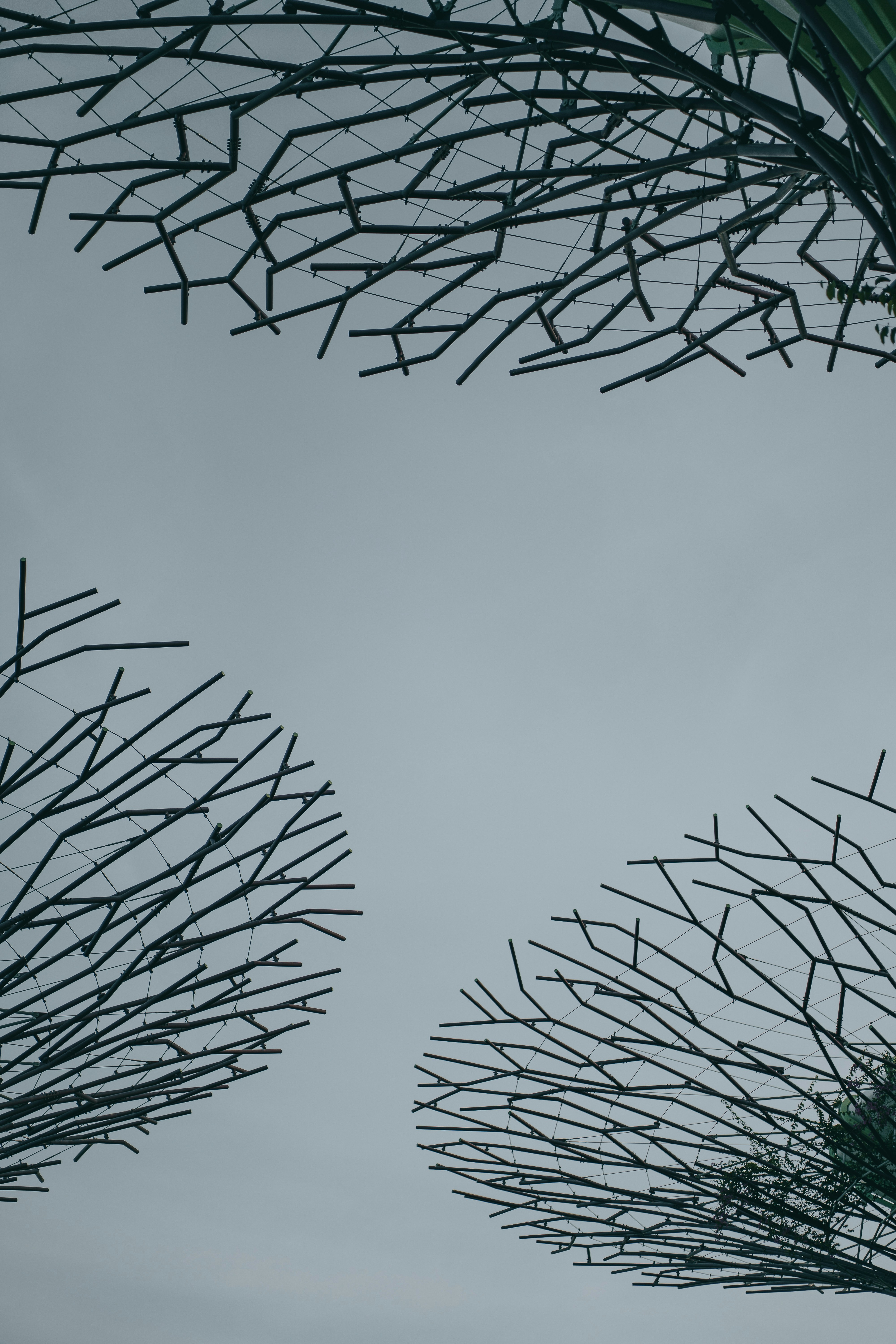 Spoked Circles Framing the Overcast Sky