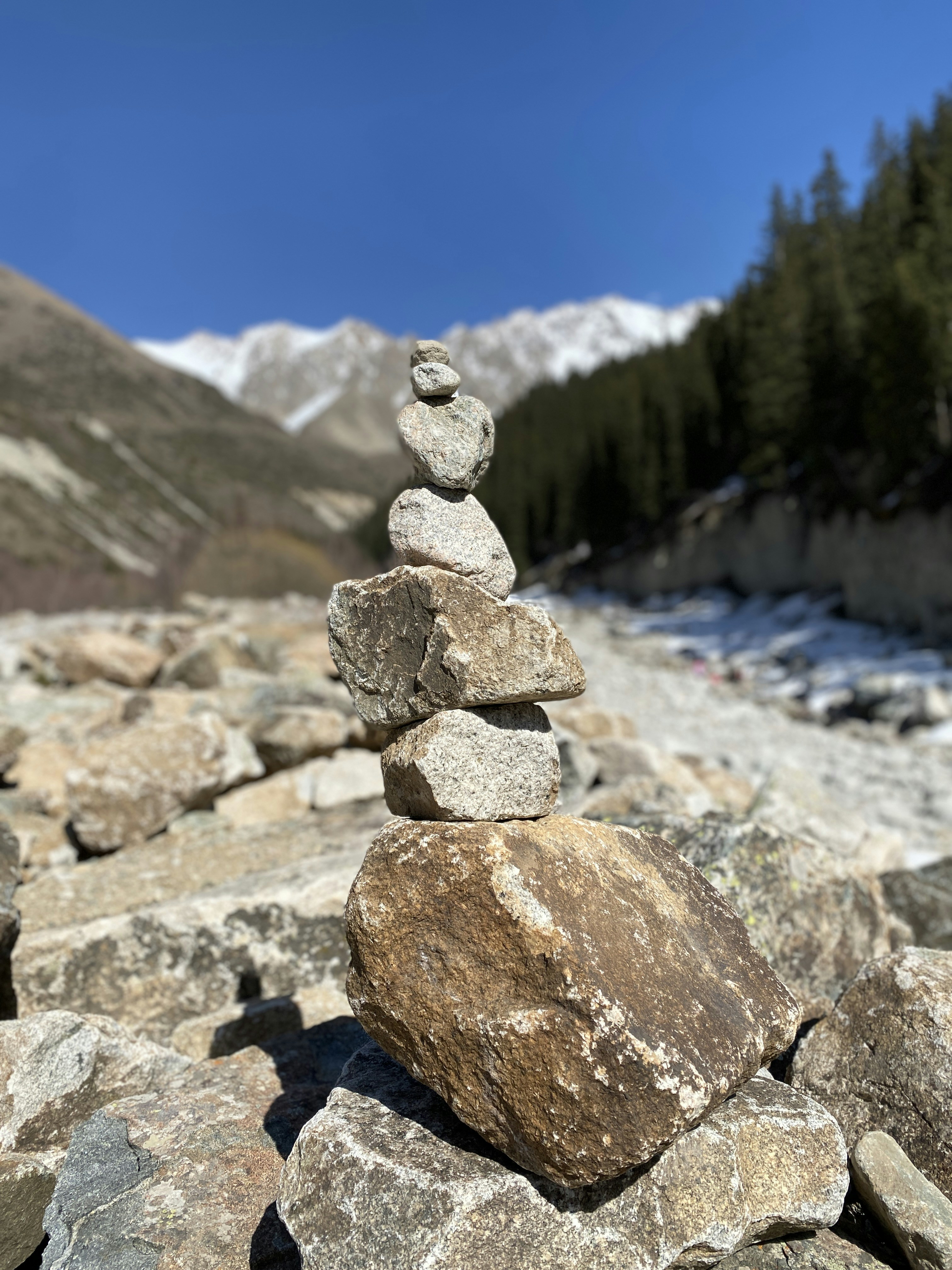 gray and brown stone near green trees during daytime