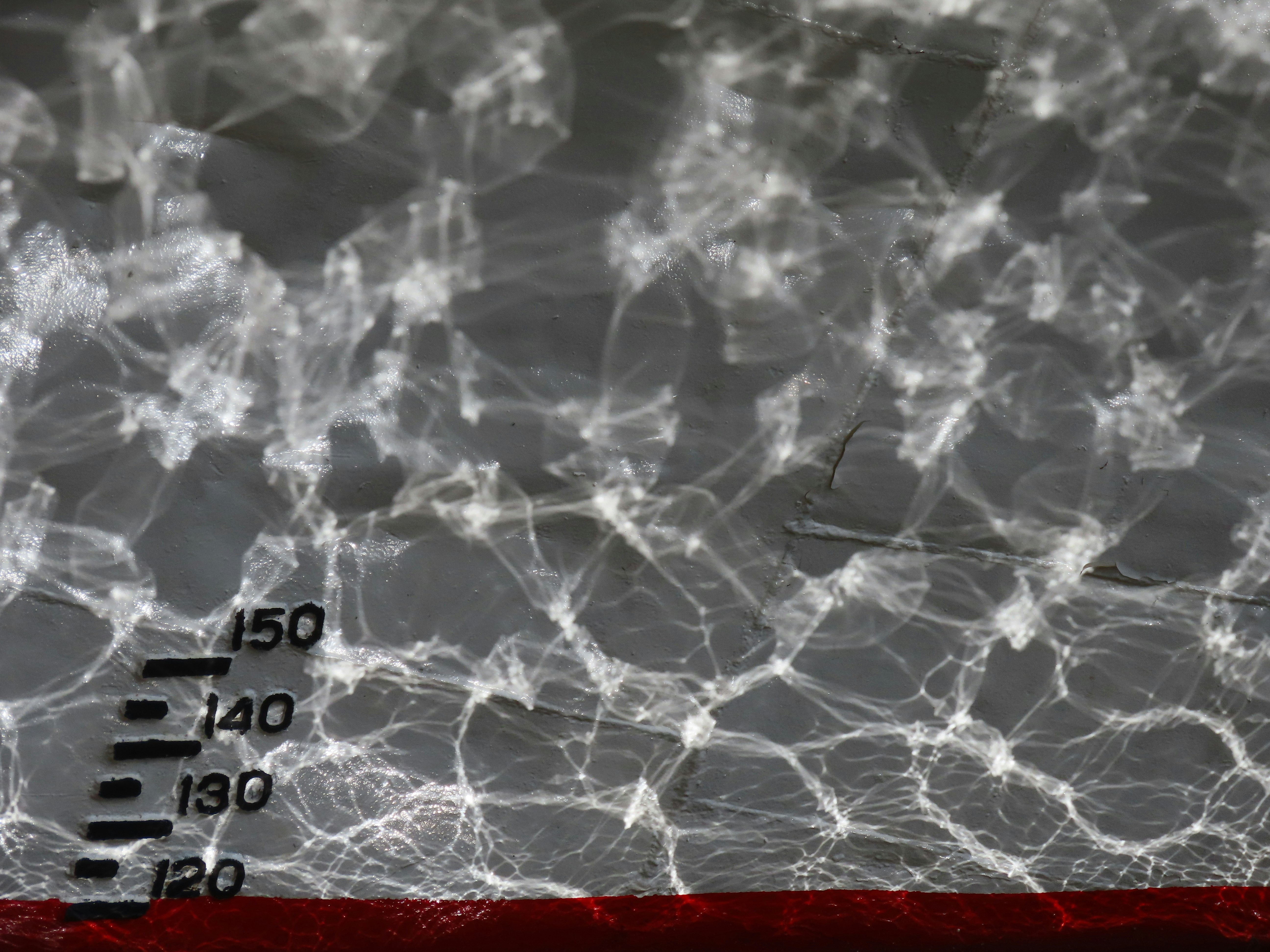 Macro photograph of frost crystals forming an intricate lattice across glass, with a vertical measurement scale along the left edge as a contextual reference.
