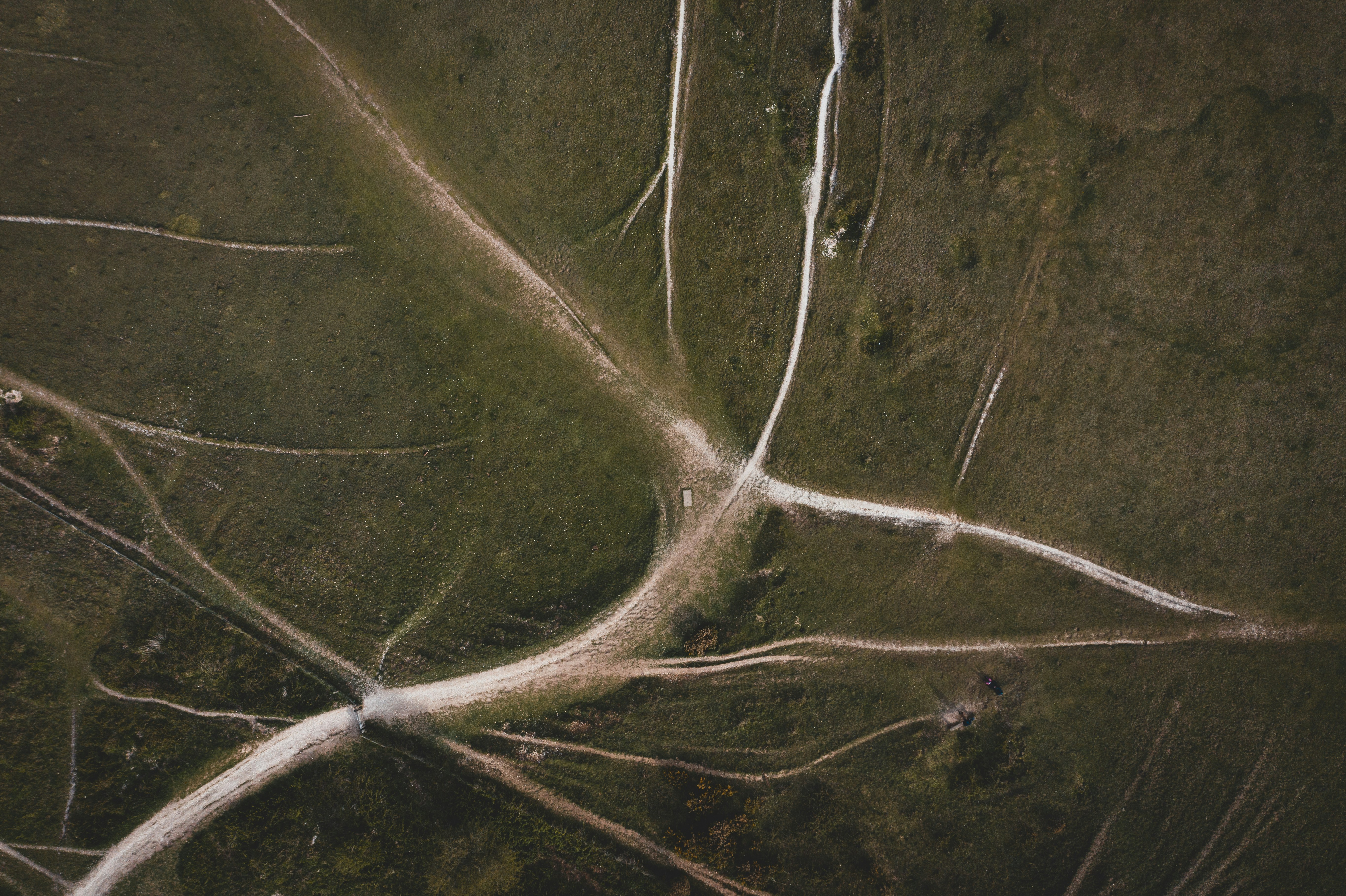 Interwoven Paths of Nature