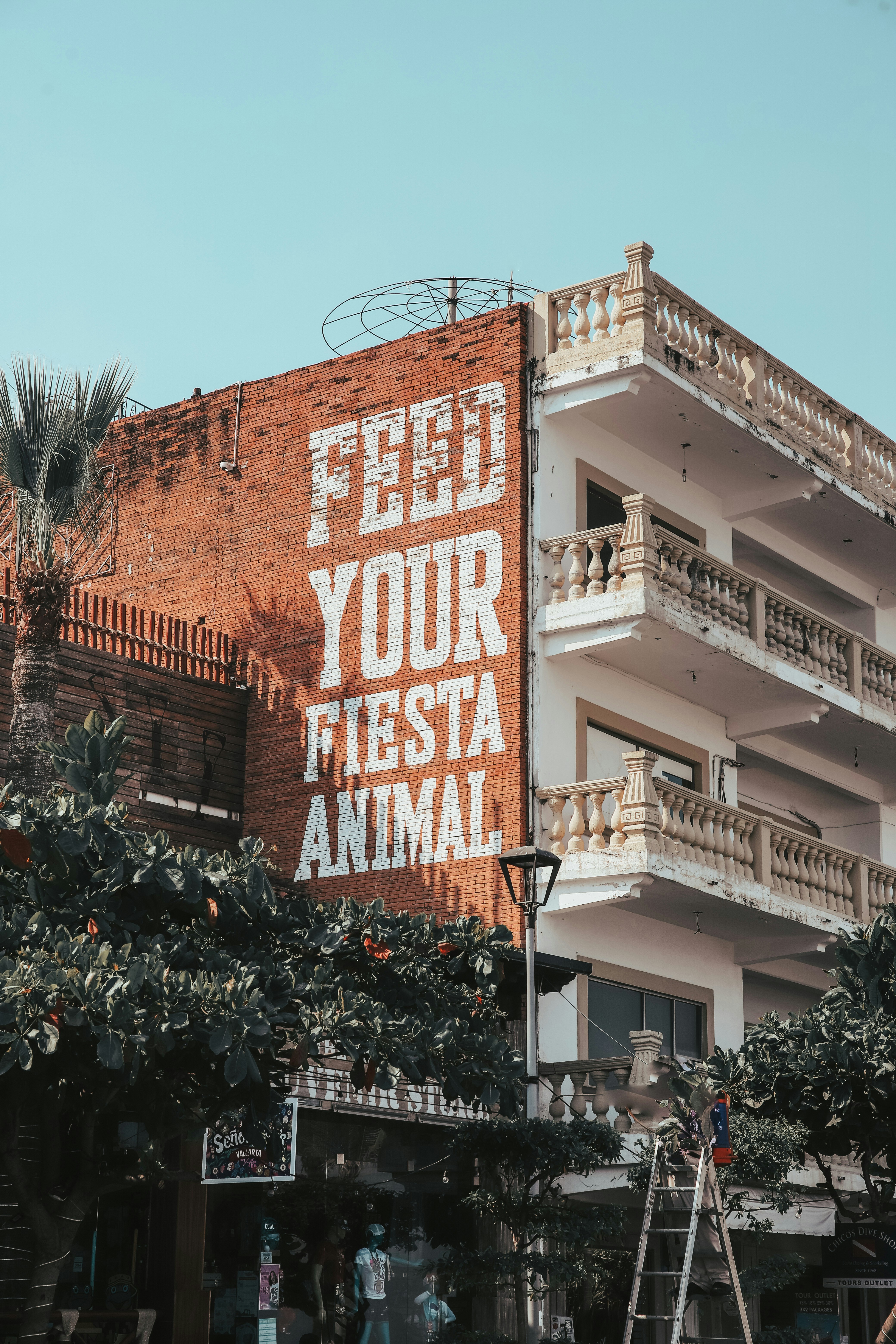 Feeding the Fiesta: A Bold Brick Mural on a Sunlit Street