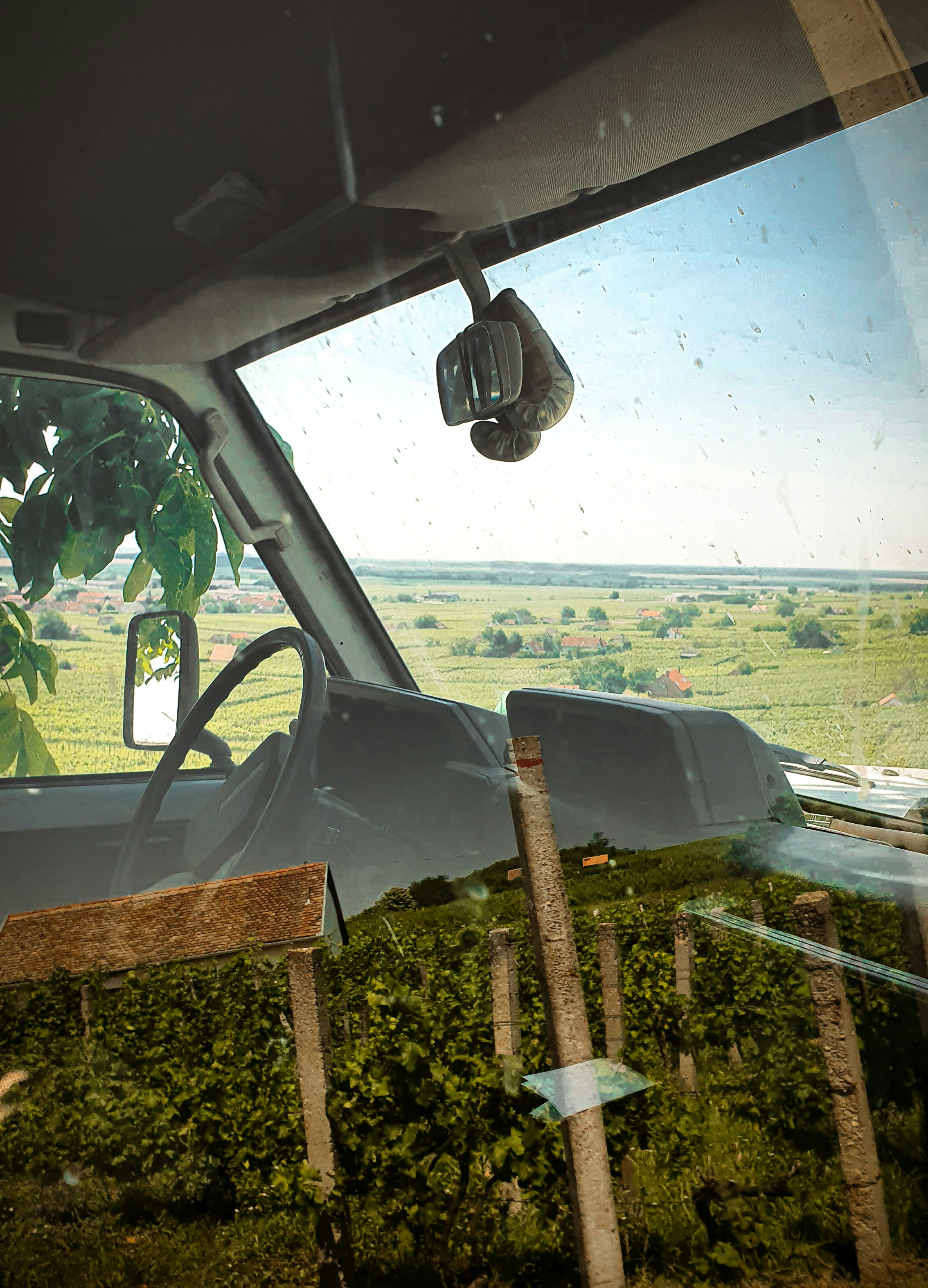 Reflection-Layered Horizon: A Rural Landscape Through a Cab Windshield