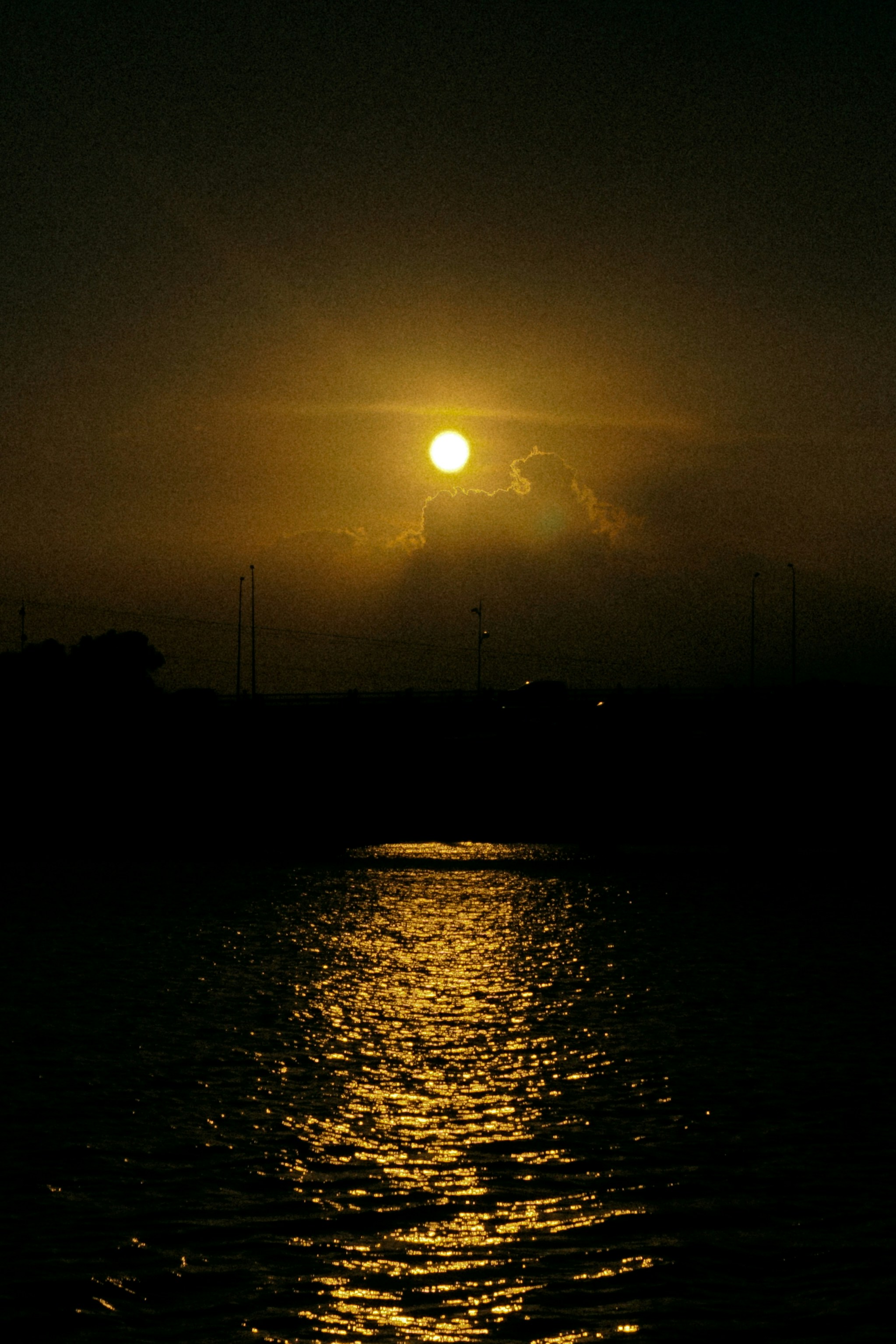 silhouette of trees near body of water during sunset