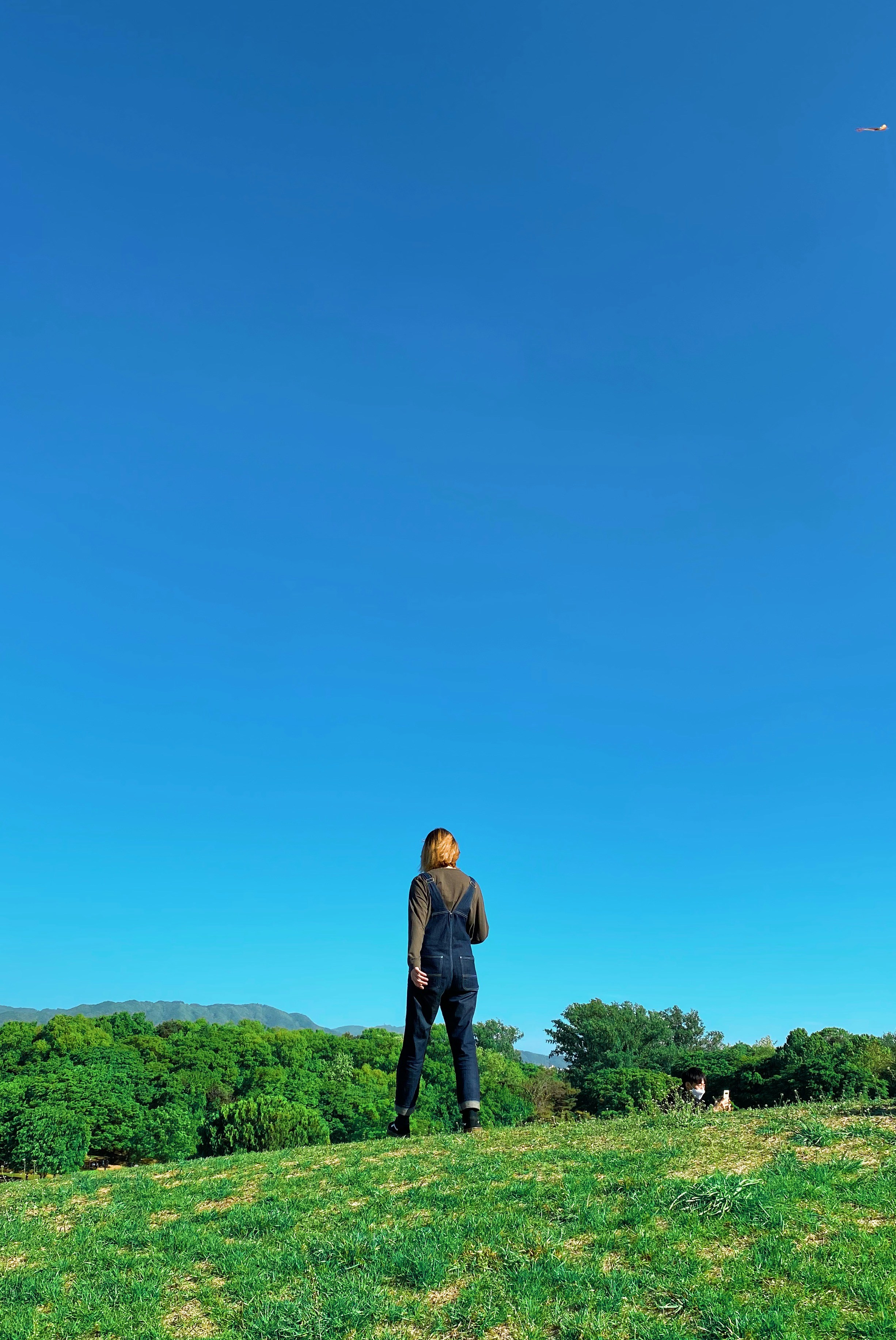 Doyle Shin (@dotgae) | Unsplashフォトコミュニティ