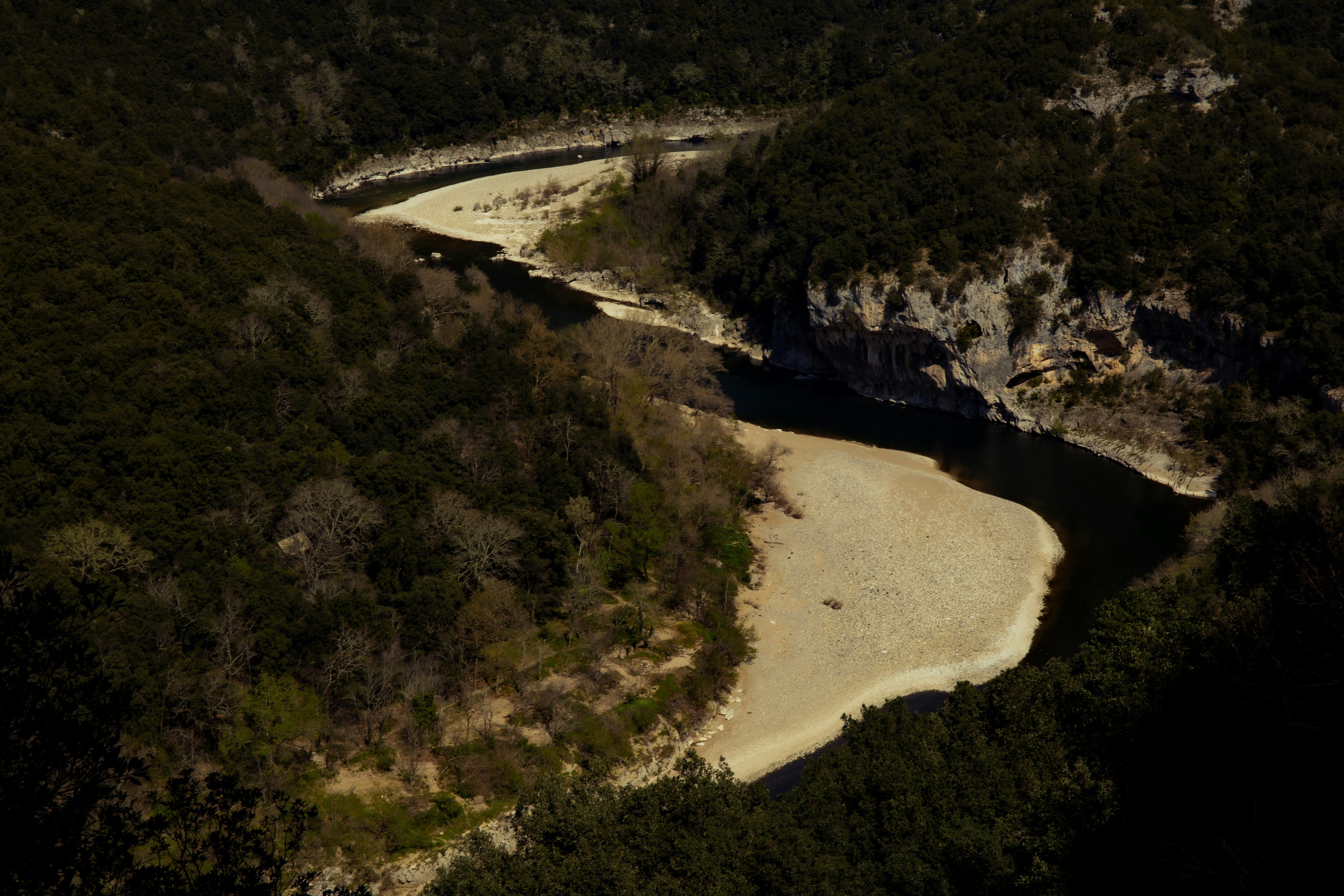 Meandering river carving through lush greenery, with a sandy bank visible under the sun. A tranquil landscape showcasing nature's harmony.