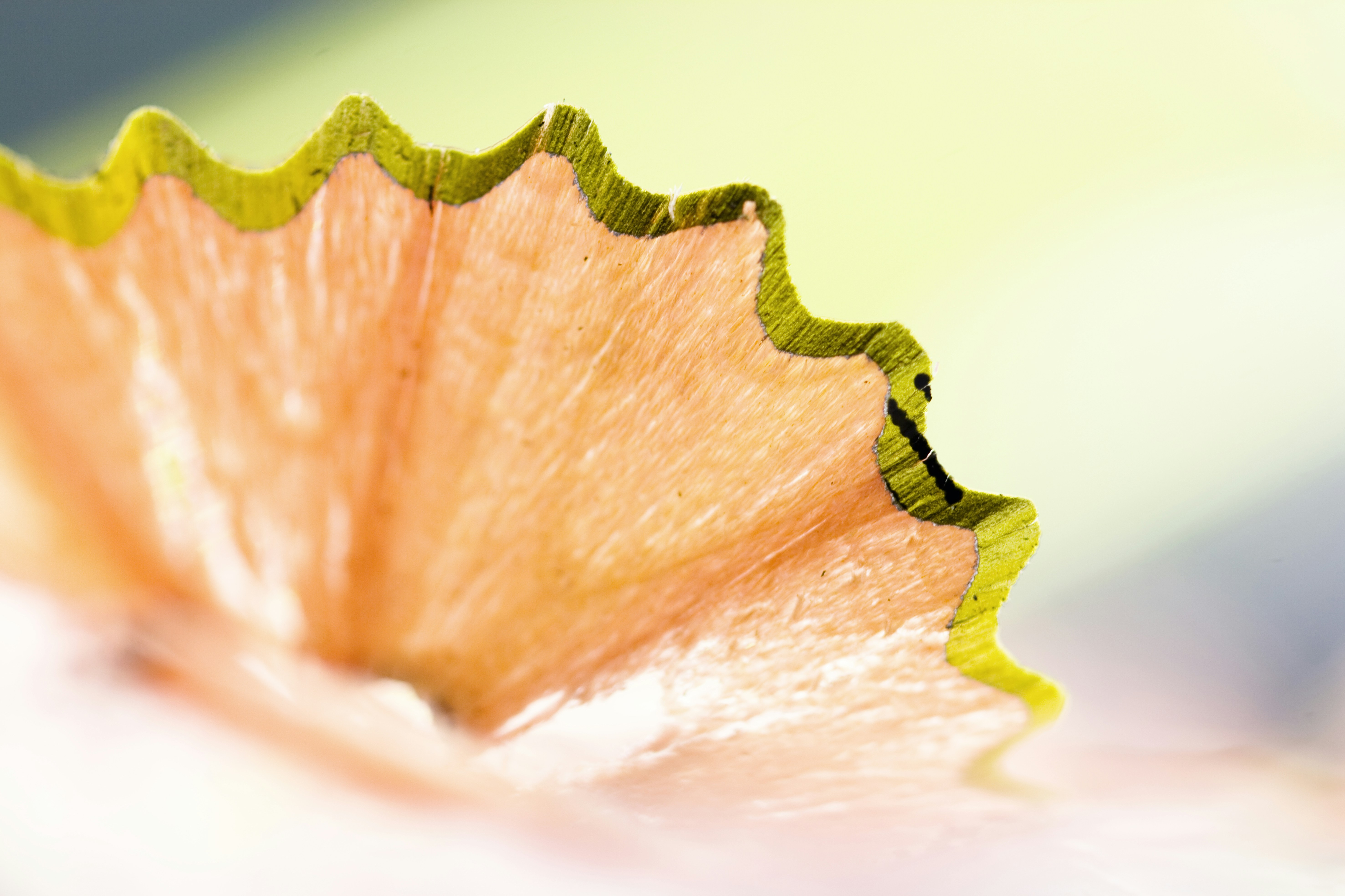 7AV 7AV (@antonov) | Unsplashフォトコミュニティ