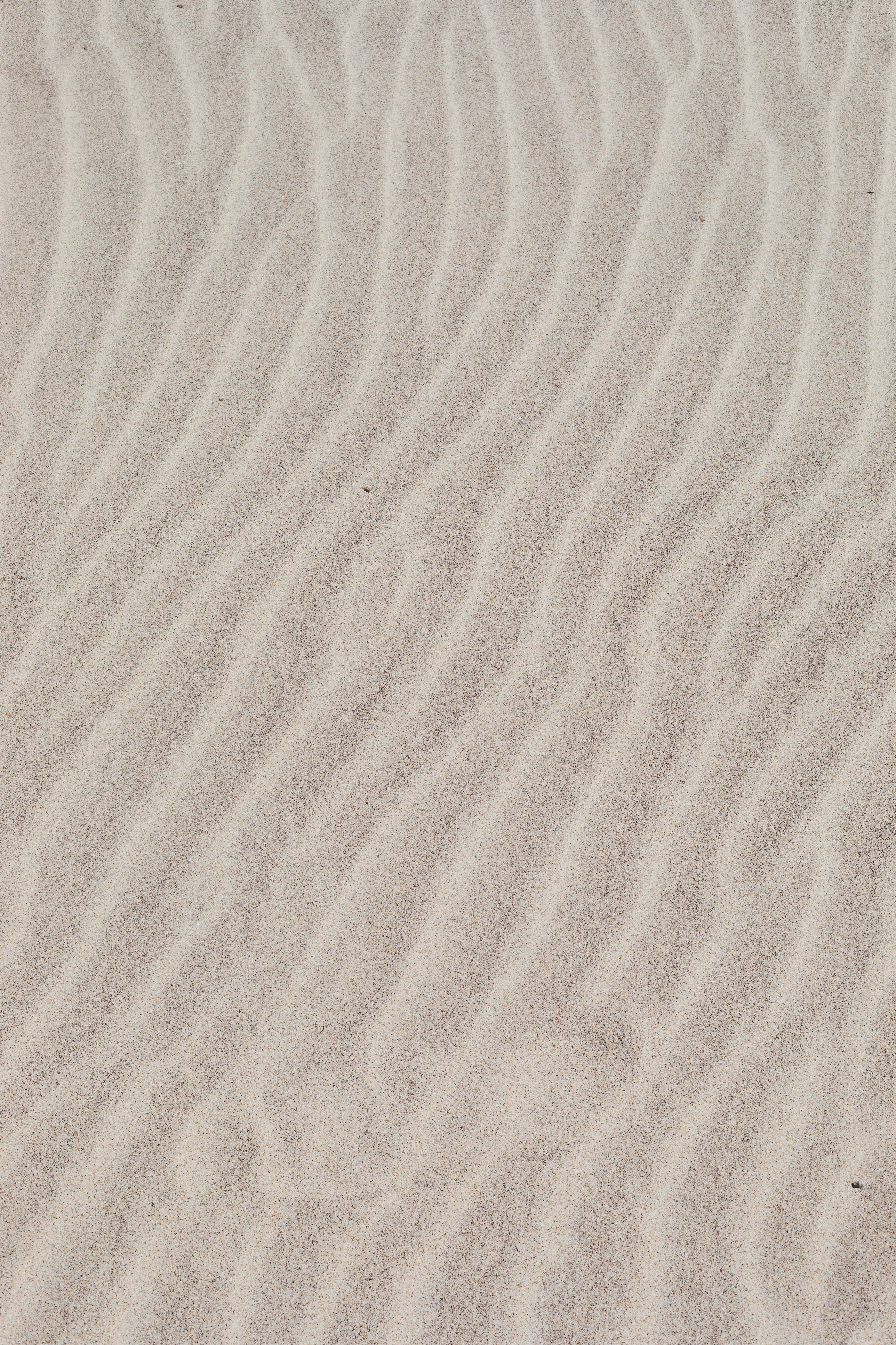 Seamless White Beach Sand Texture