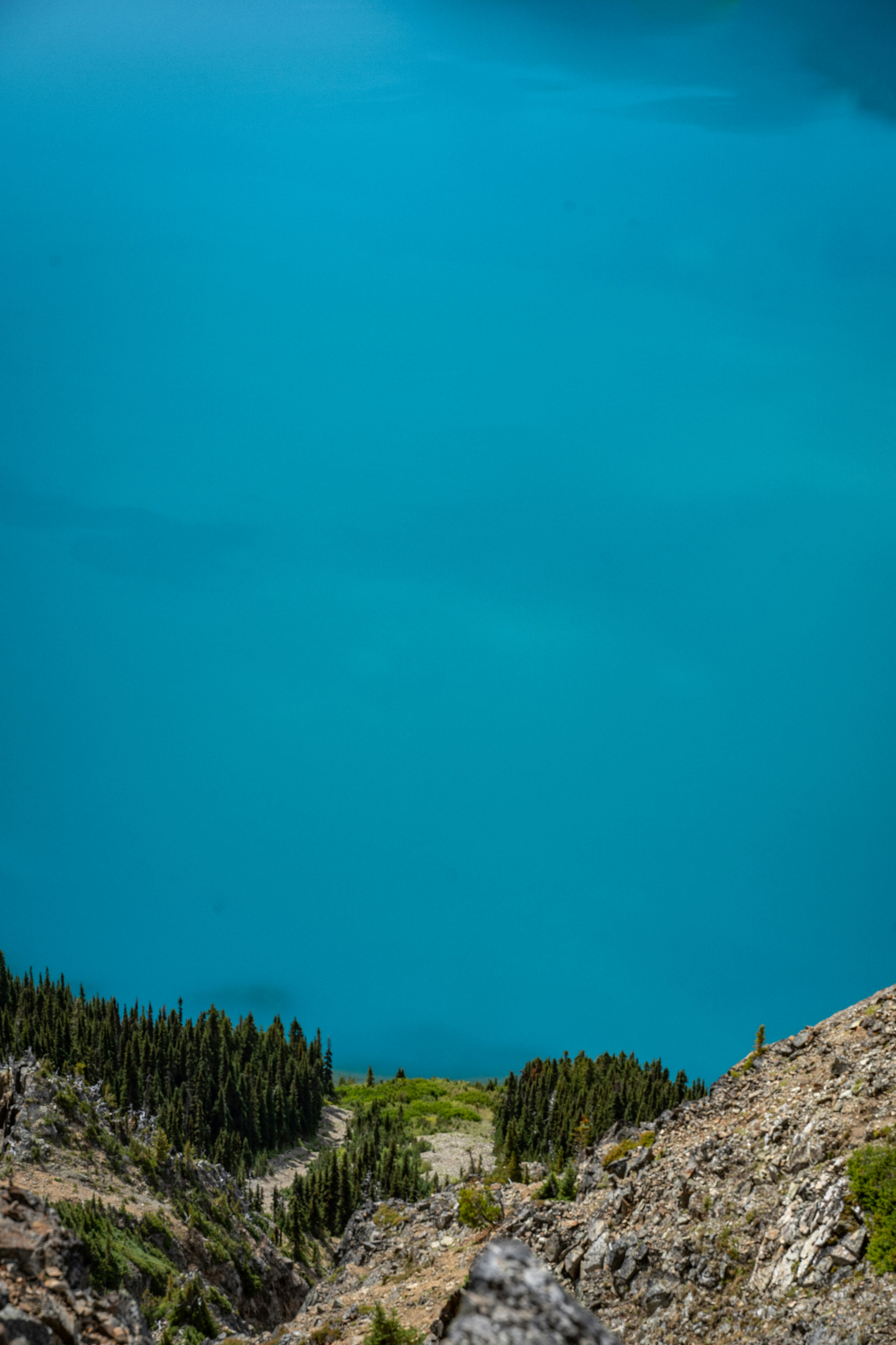 Azure Quiet over a Pine-Rimmed Gorge