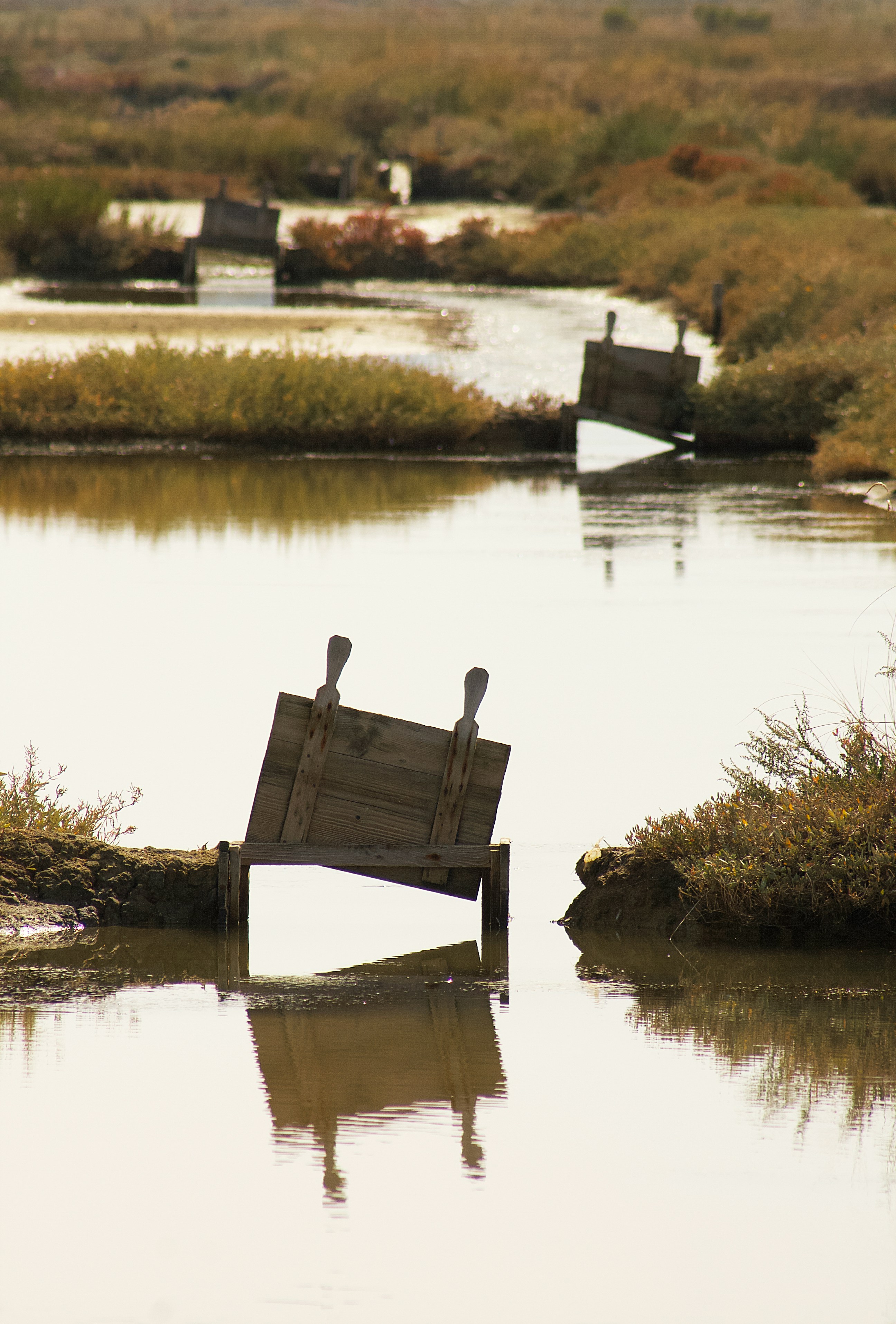 Weathered wooden structures emerge from tranquil waters, surrounded by lush marsh vegetation, creating a serene landscape. The scene captures the essence of nature reclaiming man-made elements.