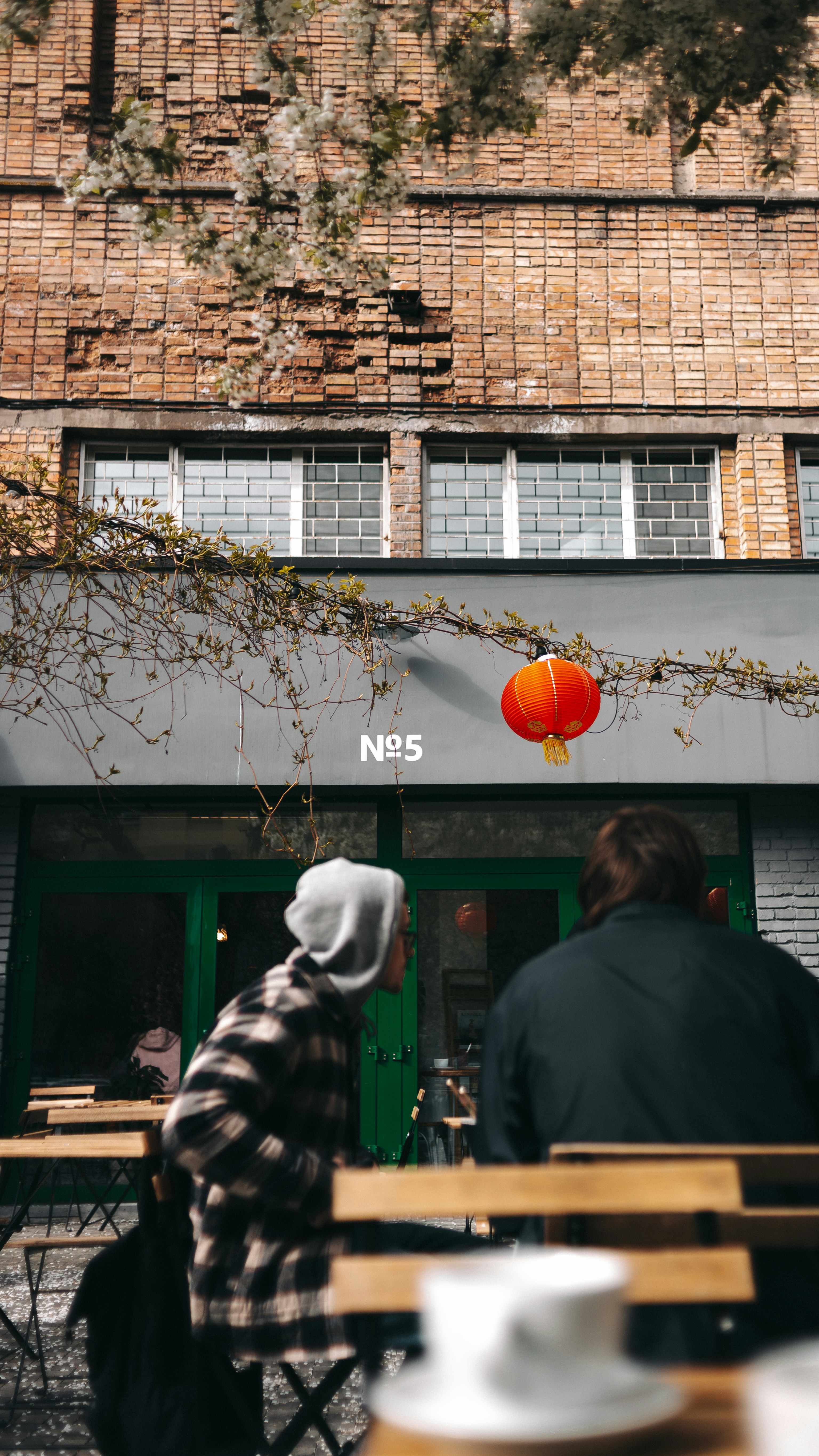 No. 5 Under the Lantern: Conversations at a Quiet Cafe Courtyard