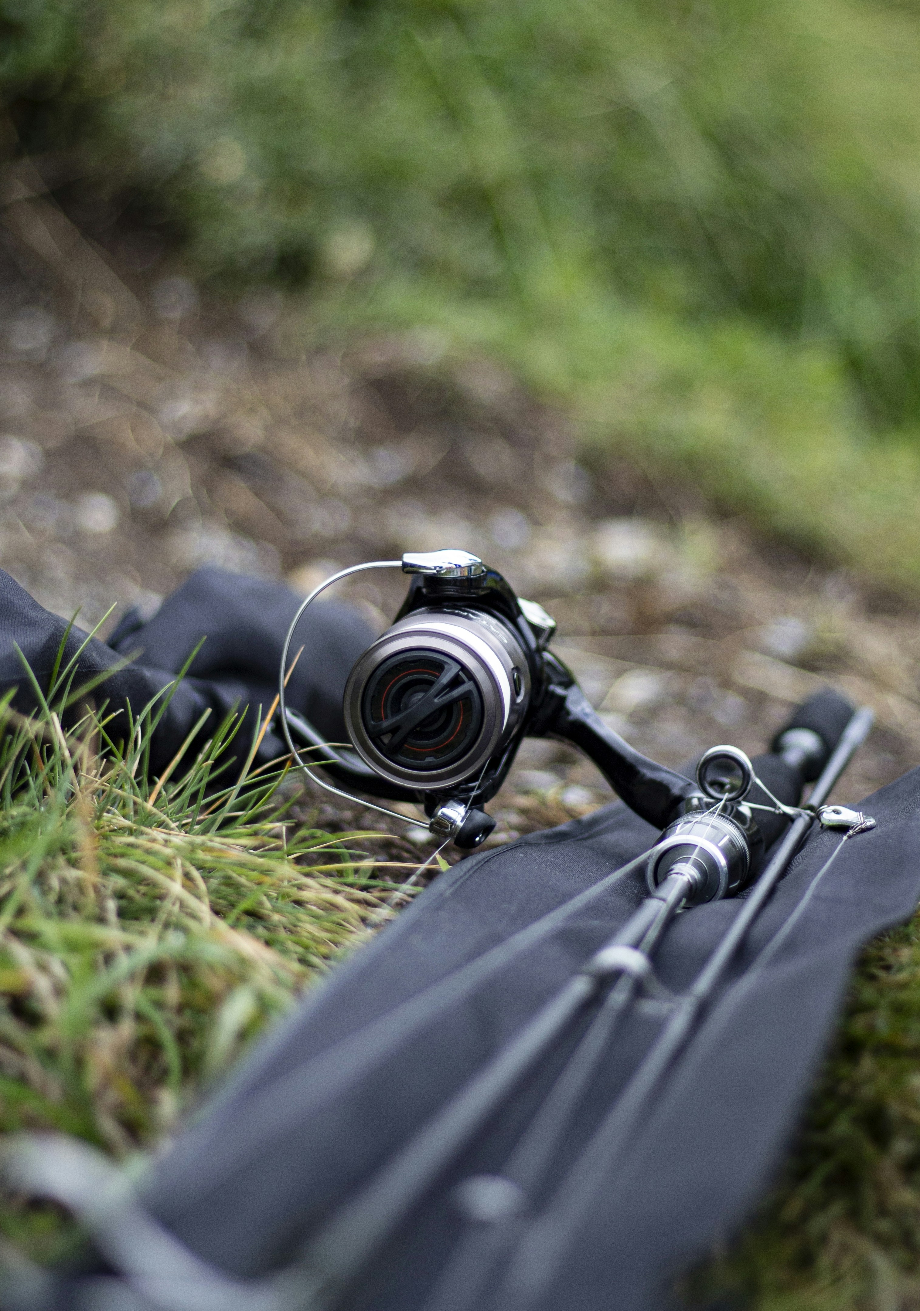 Whispers of the Outdoors: A Silver Lens Cradled by Wet Grass