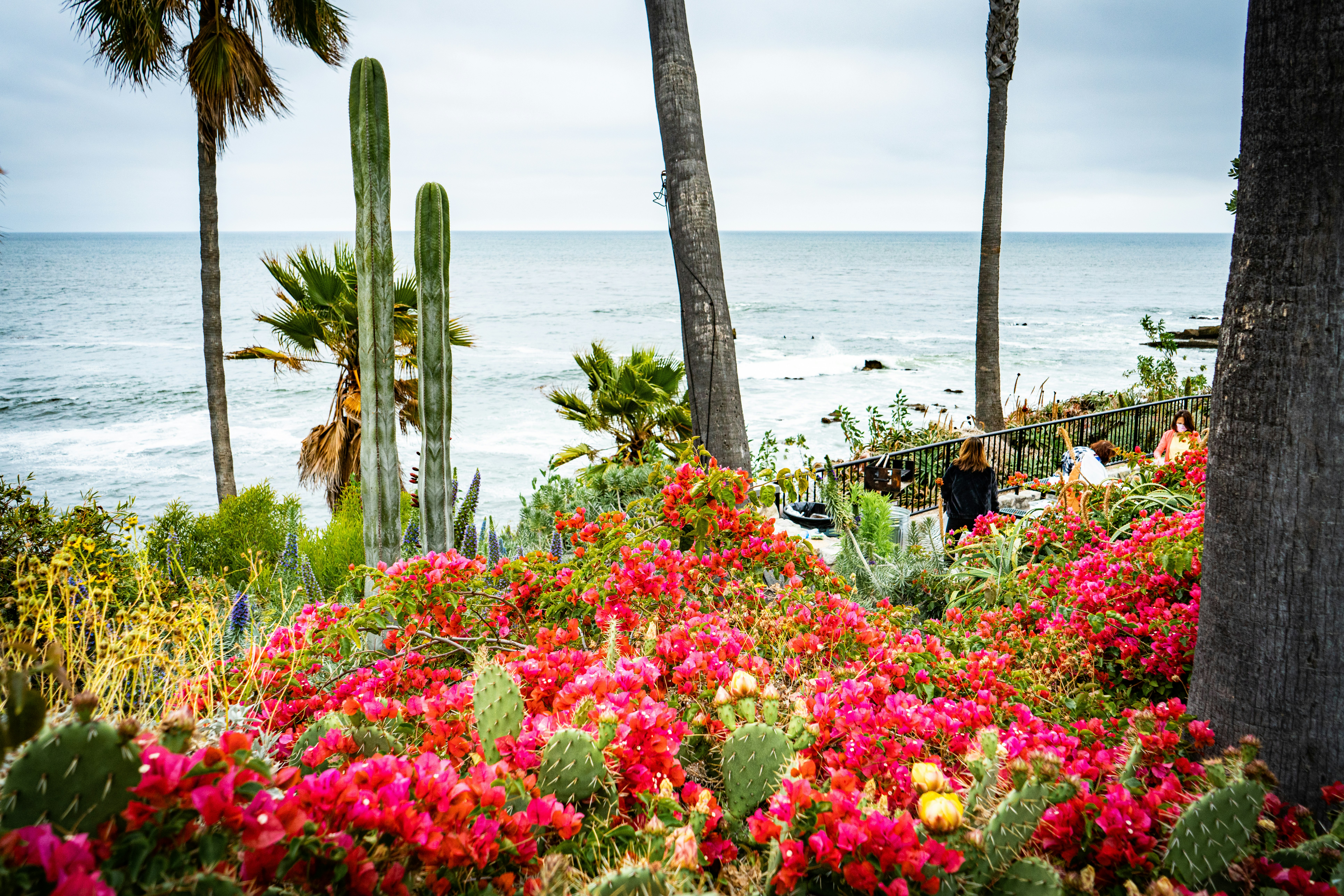Vibrant bougainvillea blooms in the foreground contrast with the tranquil ocean backdrop and palm trees. The scene captures a peaceful coastal retreat.