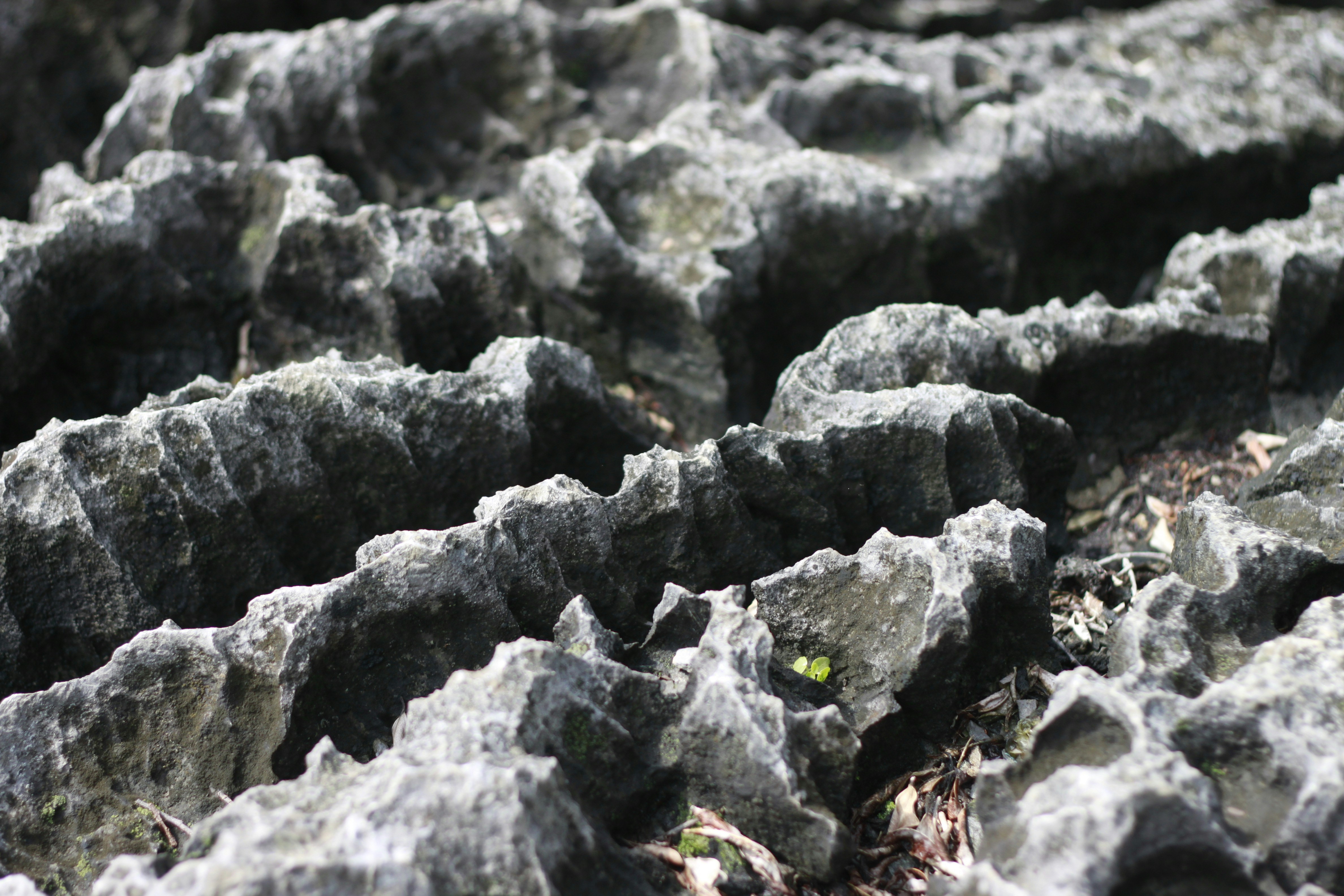 Intricate rock formations displaying unique textures and patterns, showcasing the natural artistry of erosion and time.