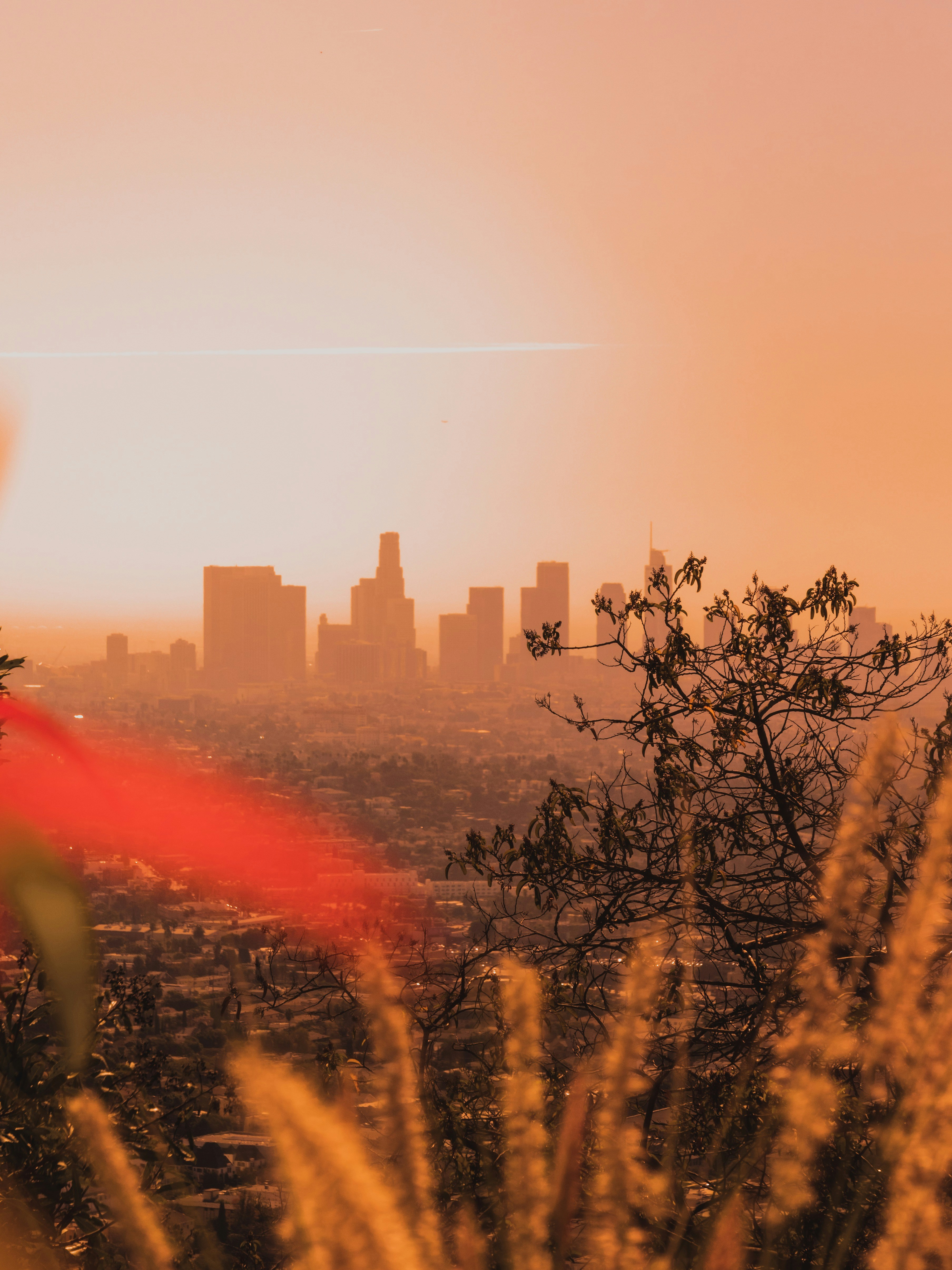 Molly Stroem (@mollystroem) | Comunidad de fotos de Unsplash