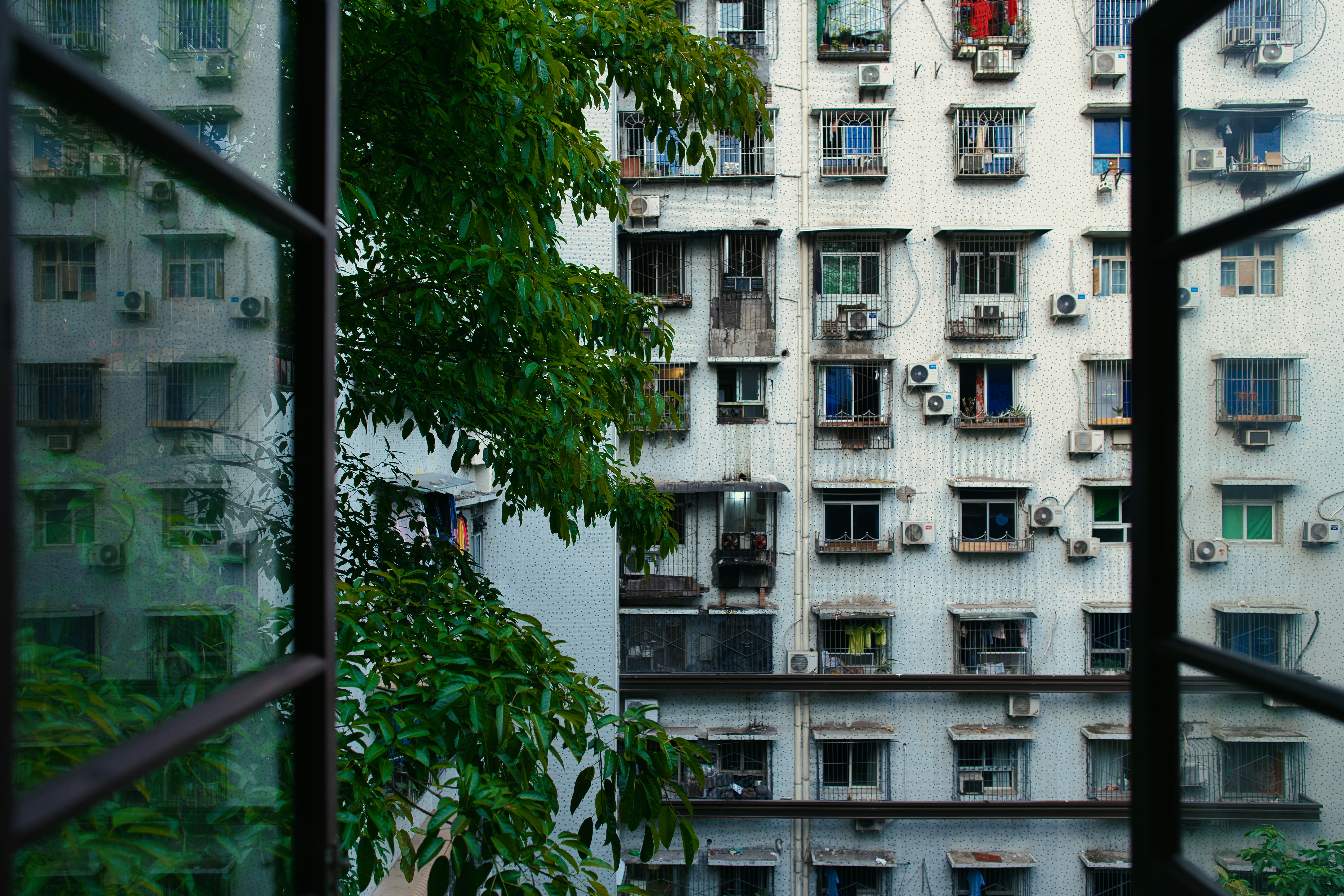 Outside the window | white concrete building near green tree during daytime