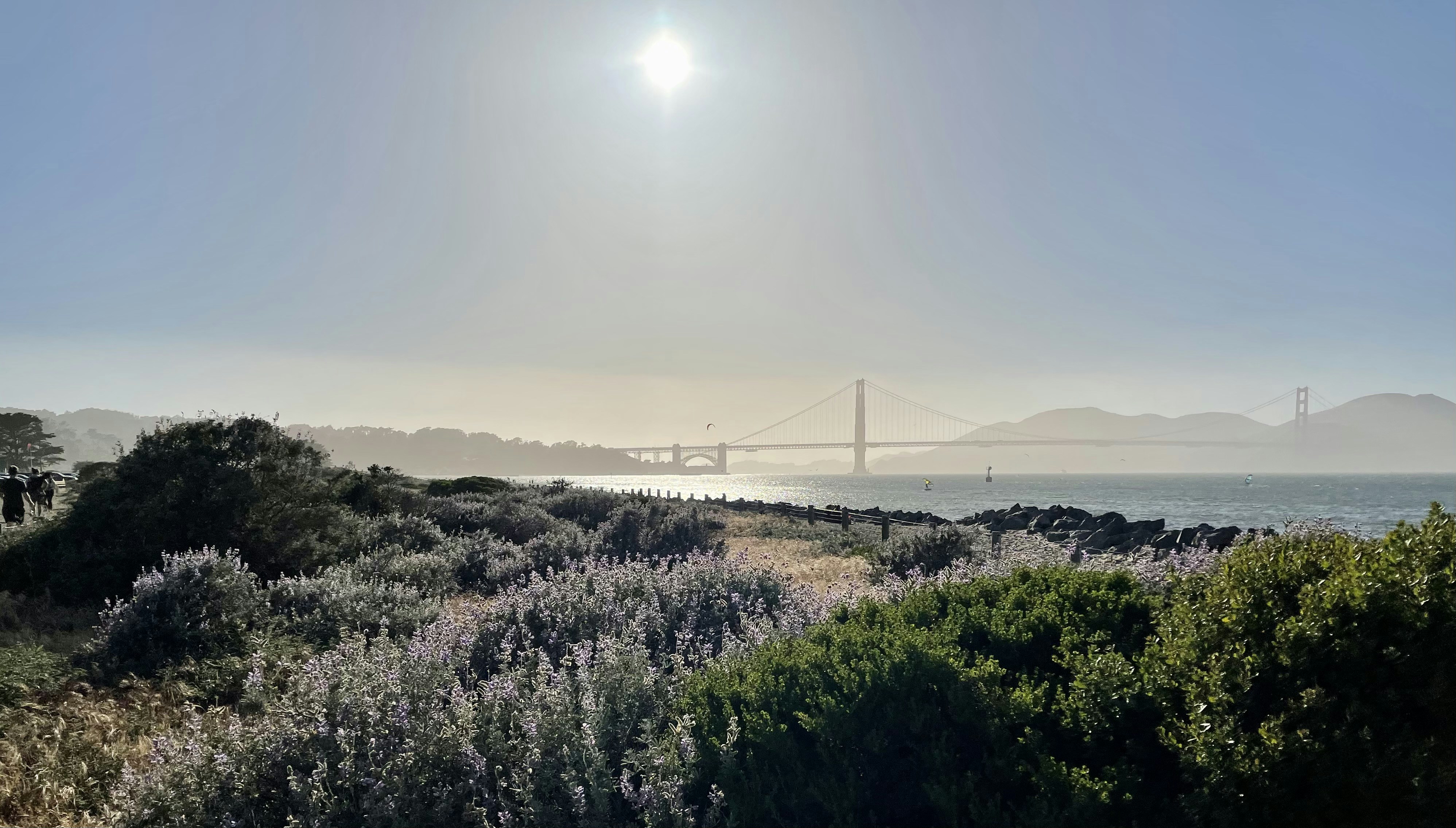Golden Gate Bridge framed by lush greenery and wildflowers under a bright sun, showcasing the harmony between nature and urban landmarks.