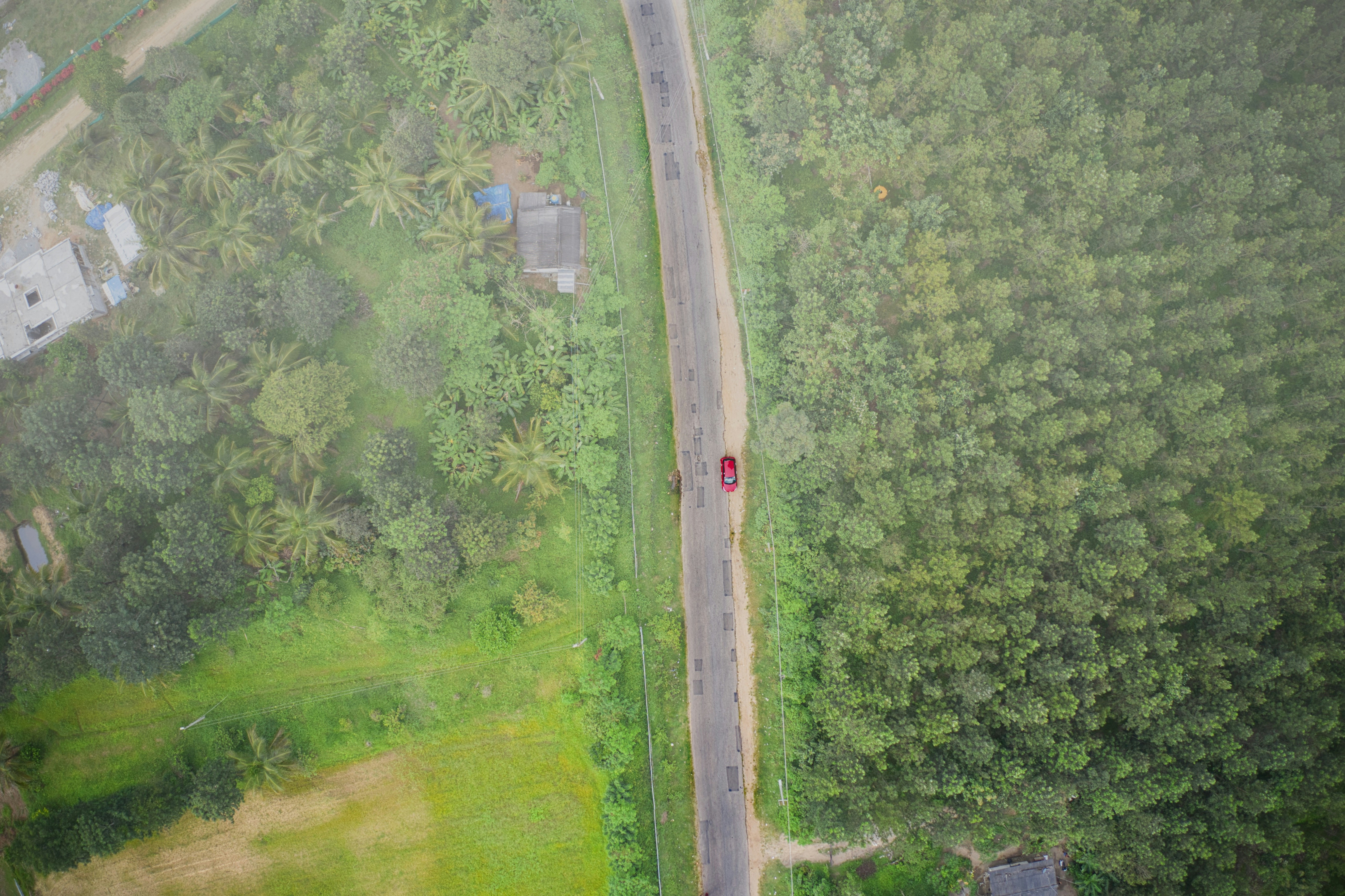Red Car on a Forest Ribbon: Aerial View of a Quiet Road Through Dense Greenery