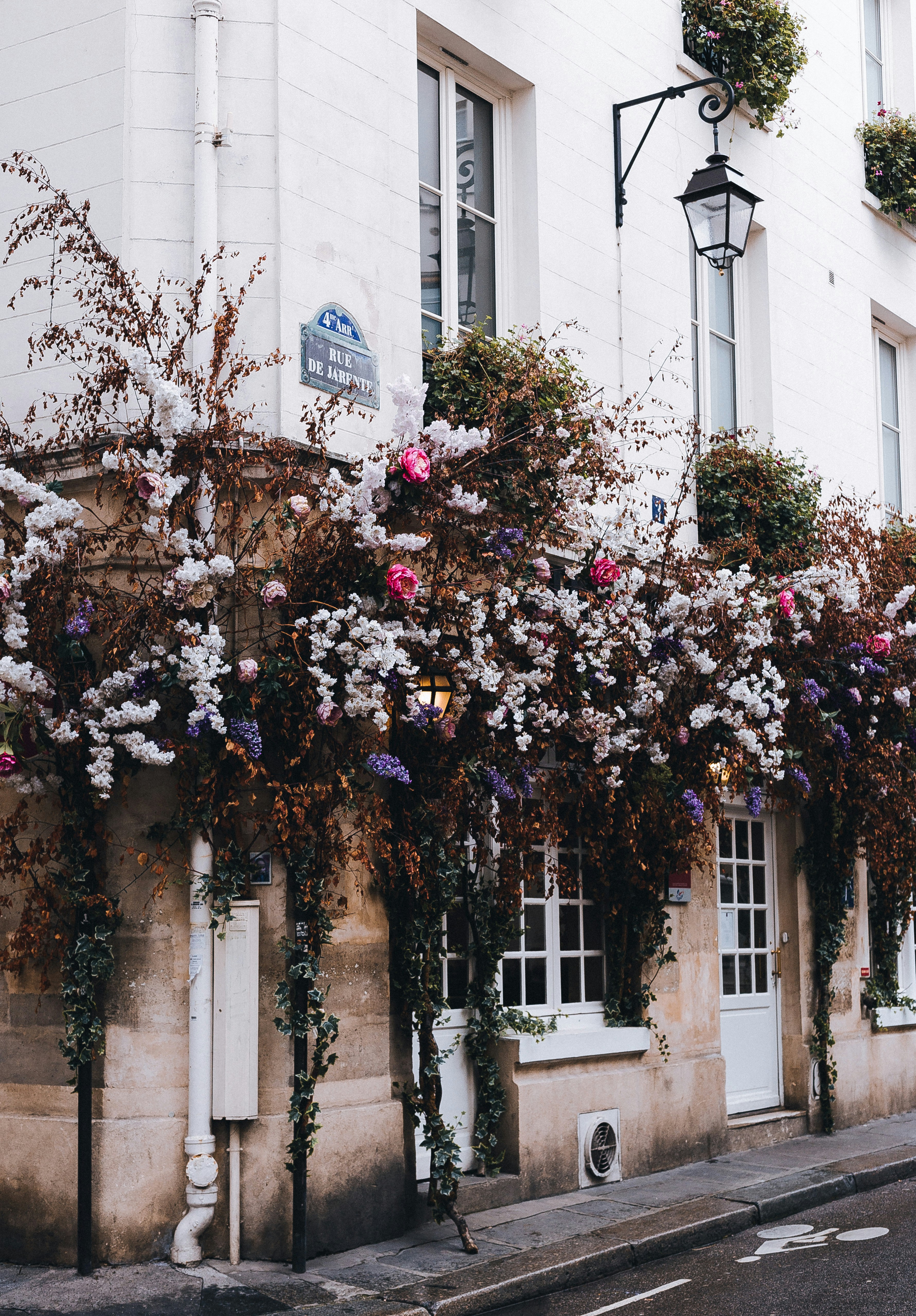 Floral Bouquets Framing a Parisian Facade