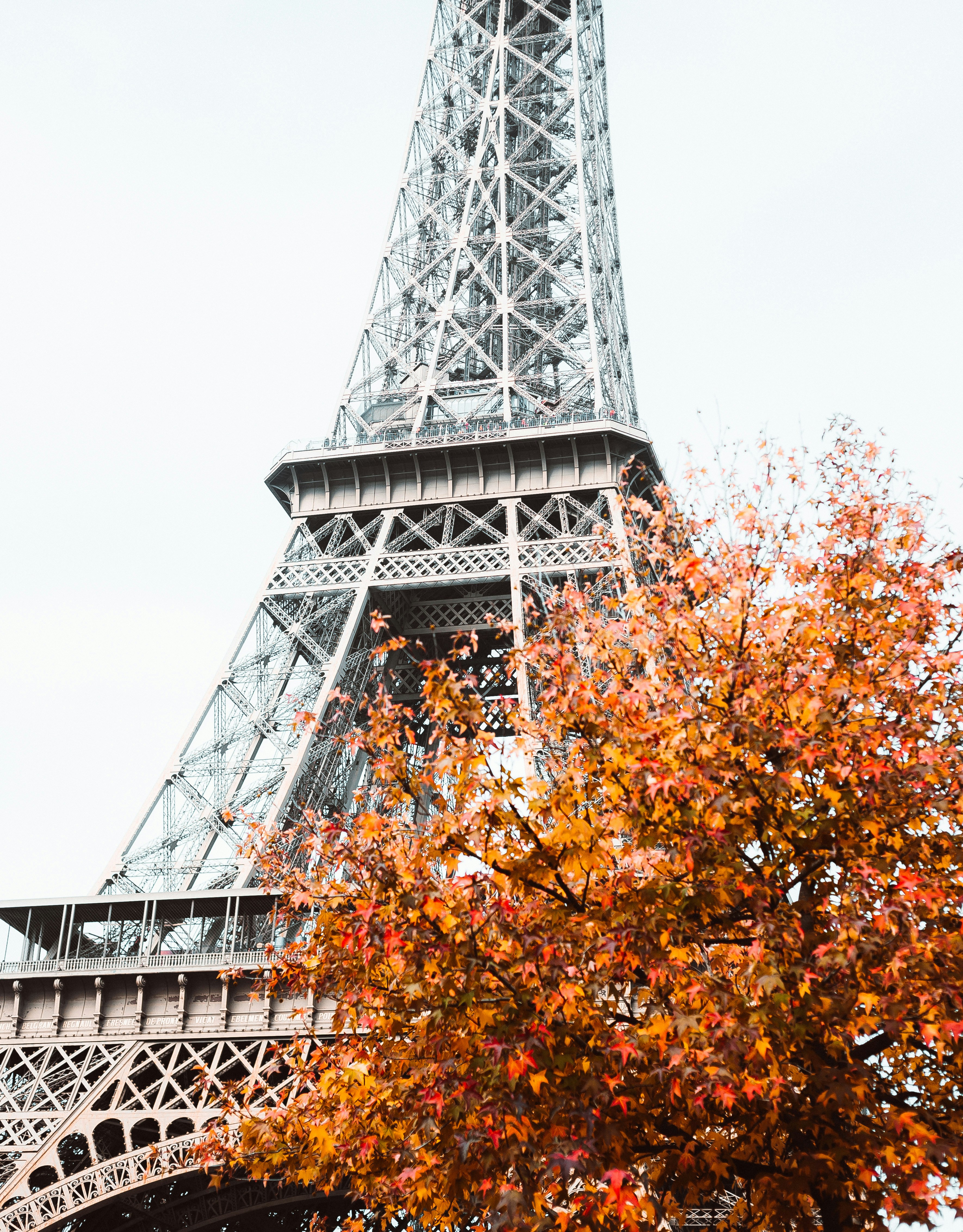 Autumn Ember Drapes the Eiffel Tower's Iron Lace