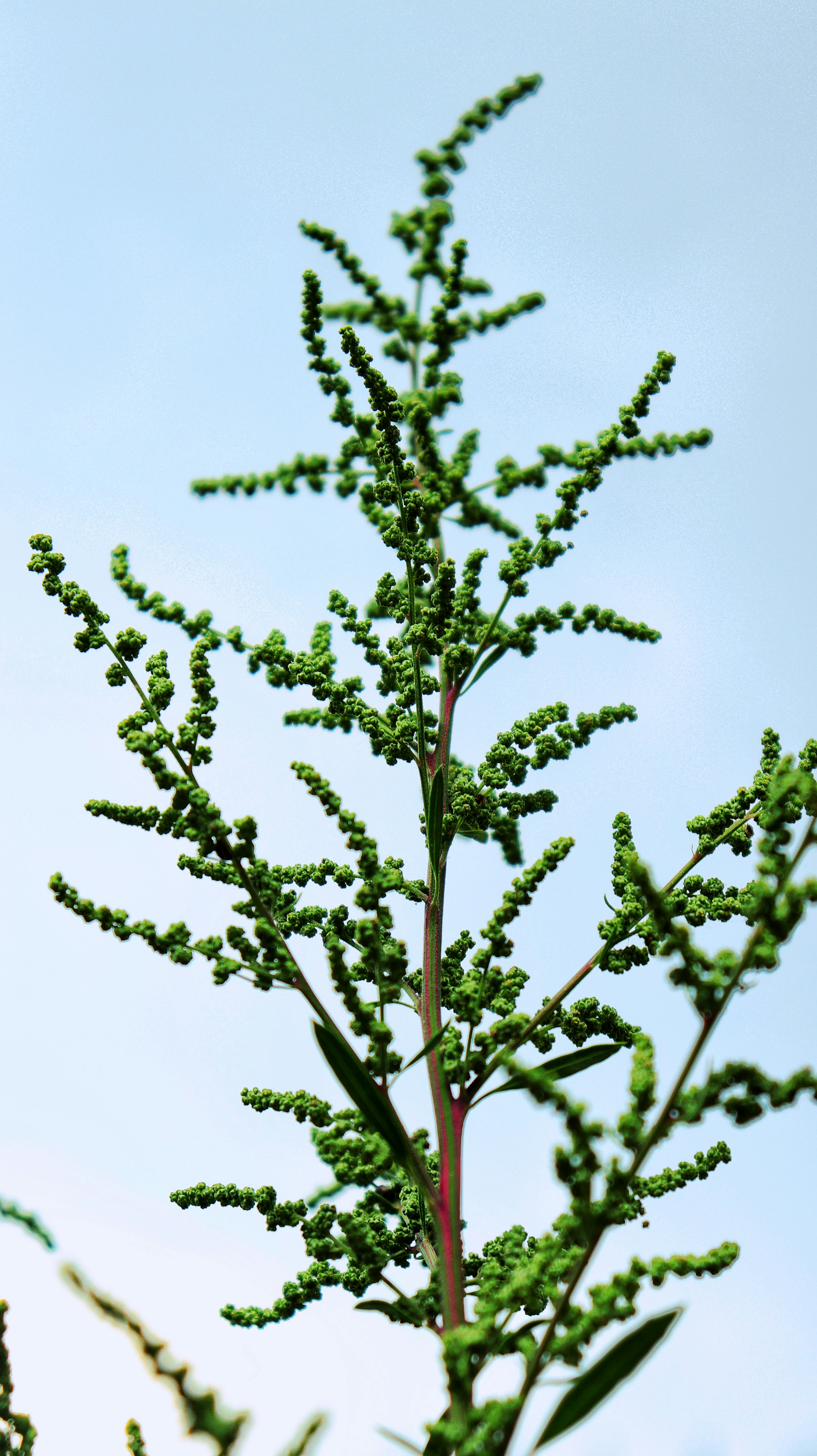 Prince Negi (@photographer77) | Unsplash Photo Community