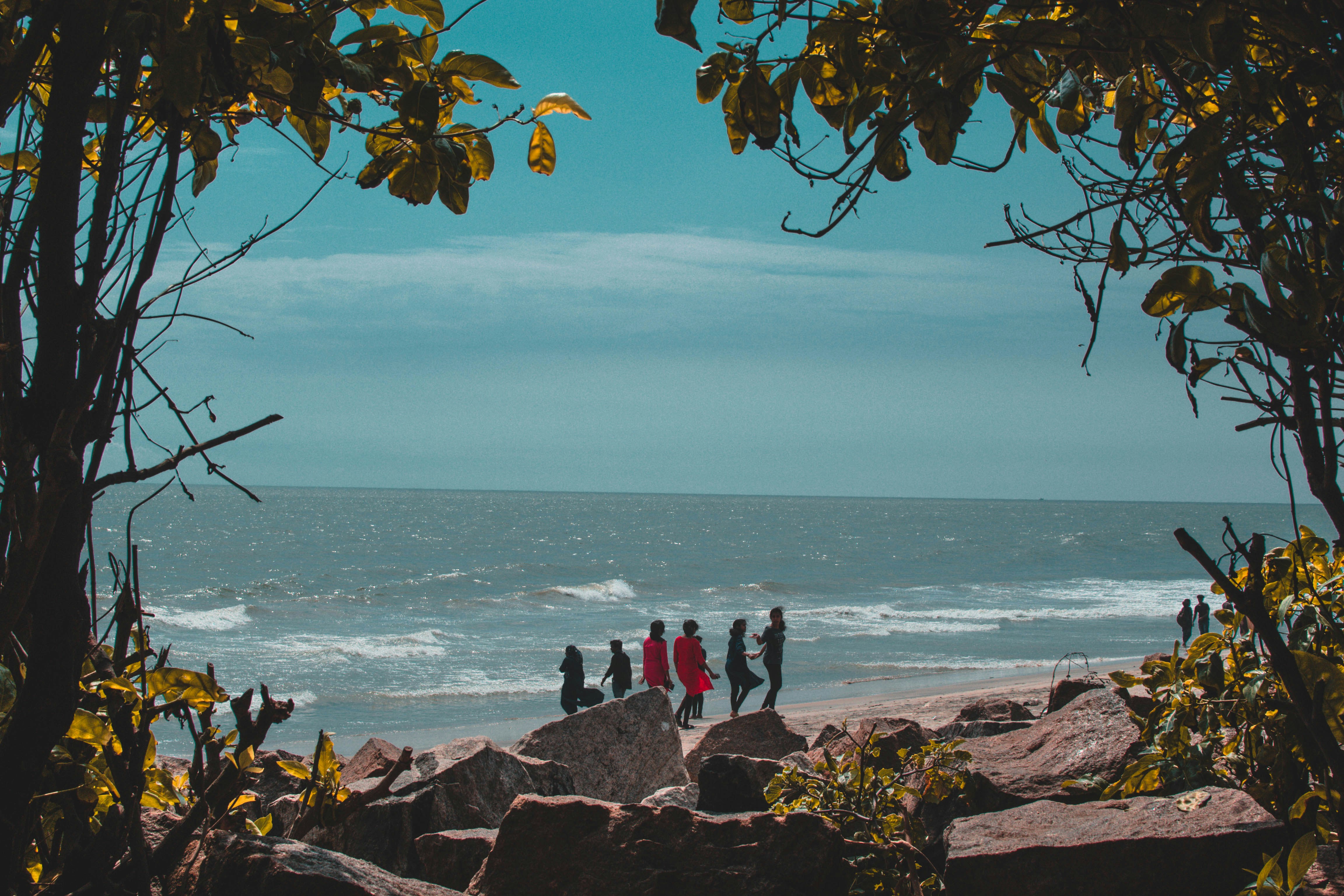 Silhouetted figures walking along a beach framed by foliage, with gentle waves lapping at the shore under a bright sky.