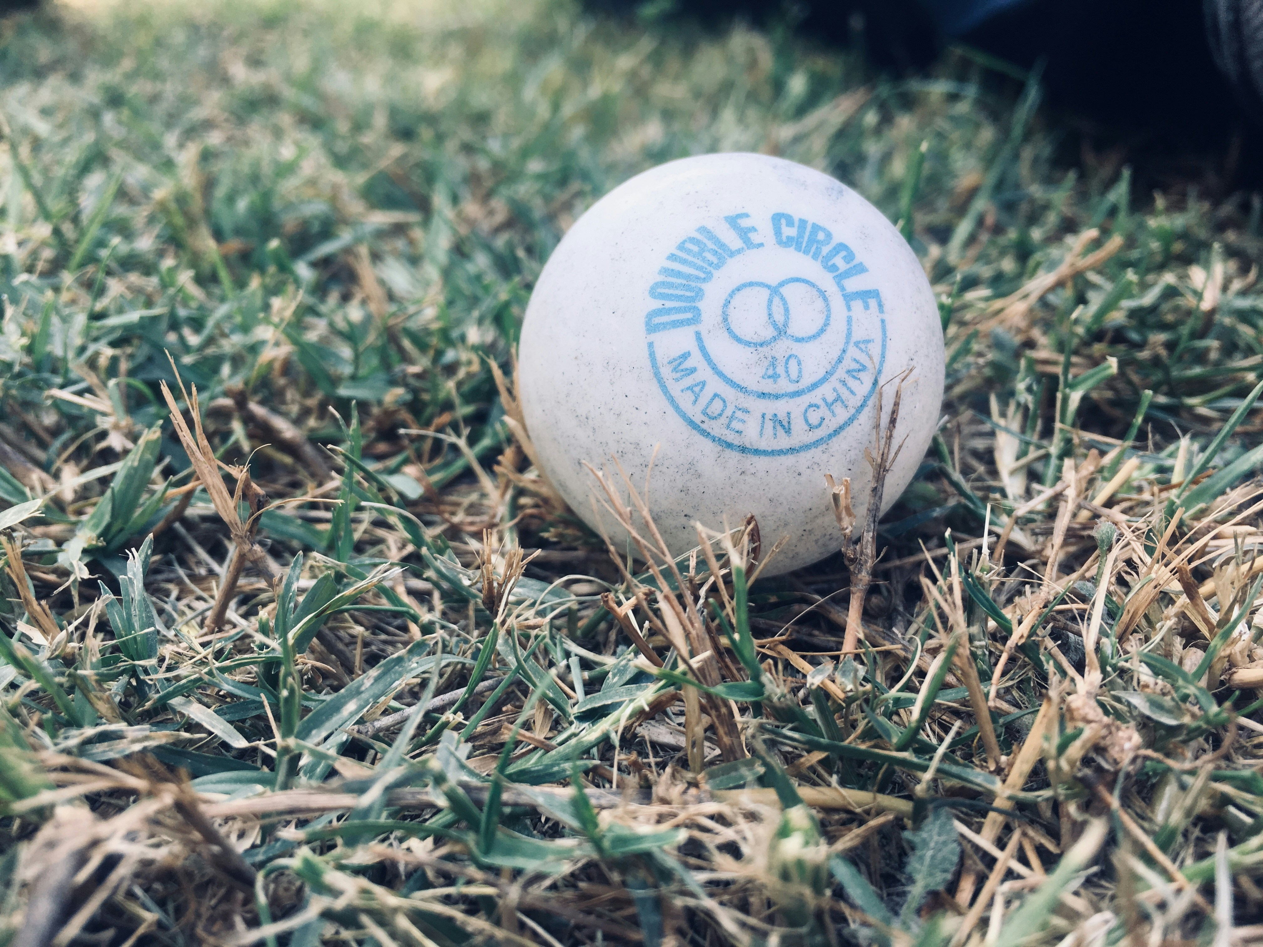 A white ball sitting on top of a lush green field photo – Free Blue ...