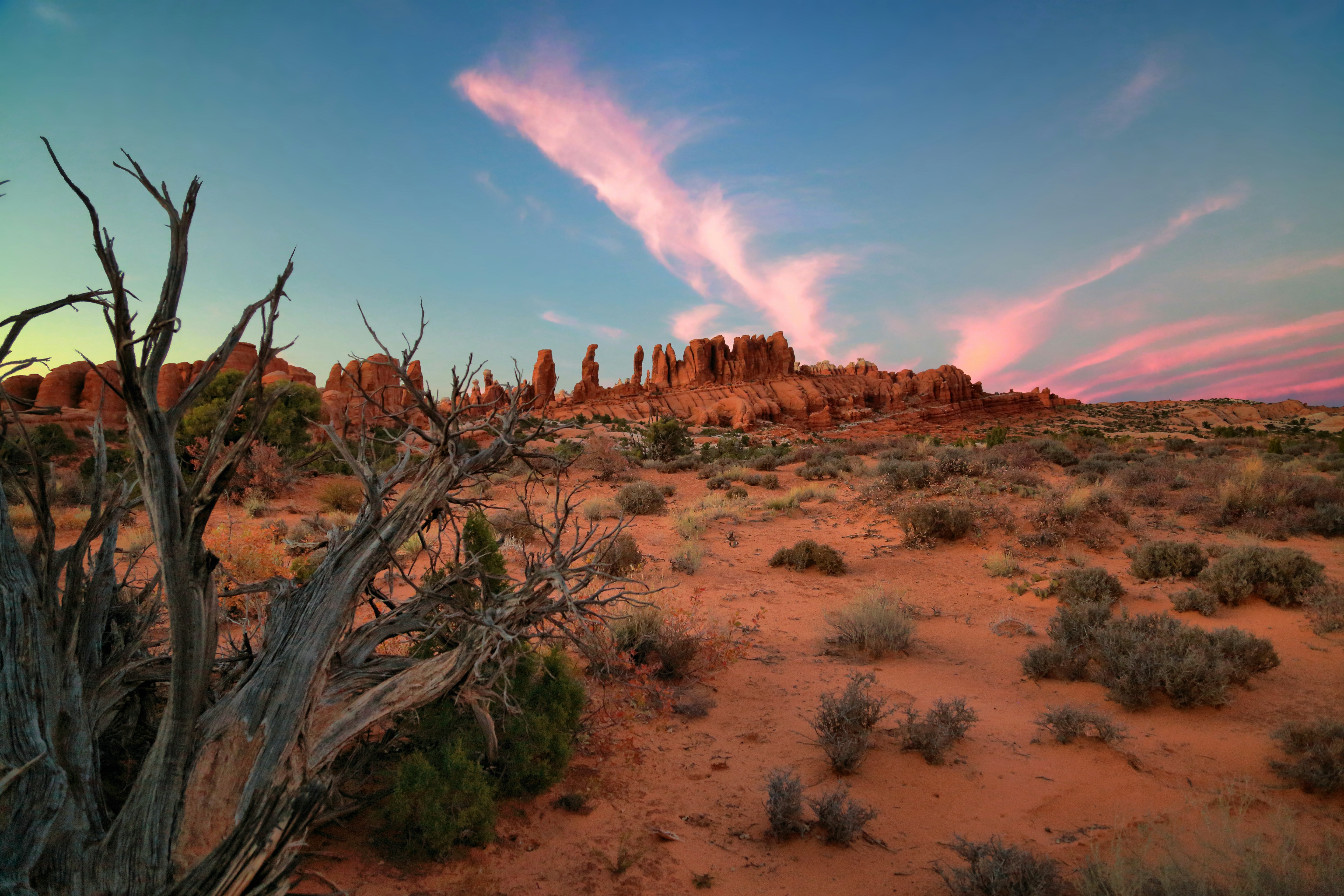 Whispers of the Desert Dawn