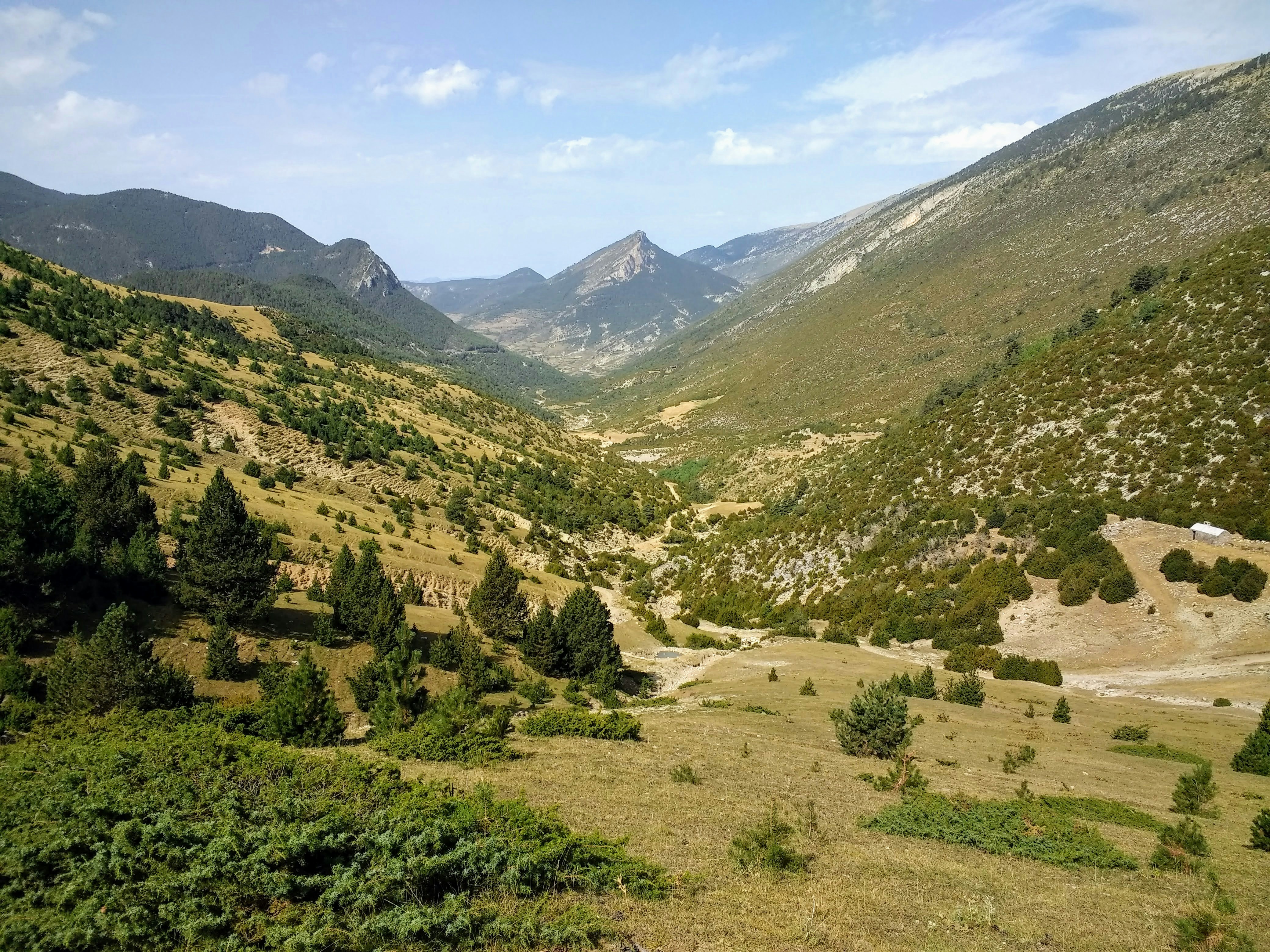 Expansive green valley with scattered trees surrounded by majestic mountains under a clear blue sky.