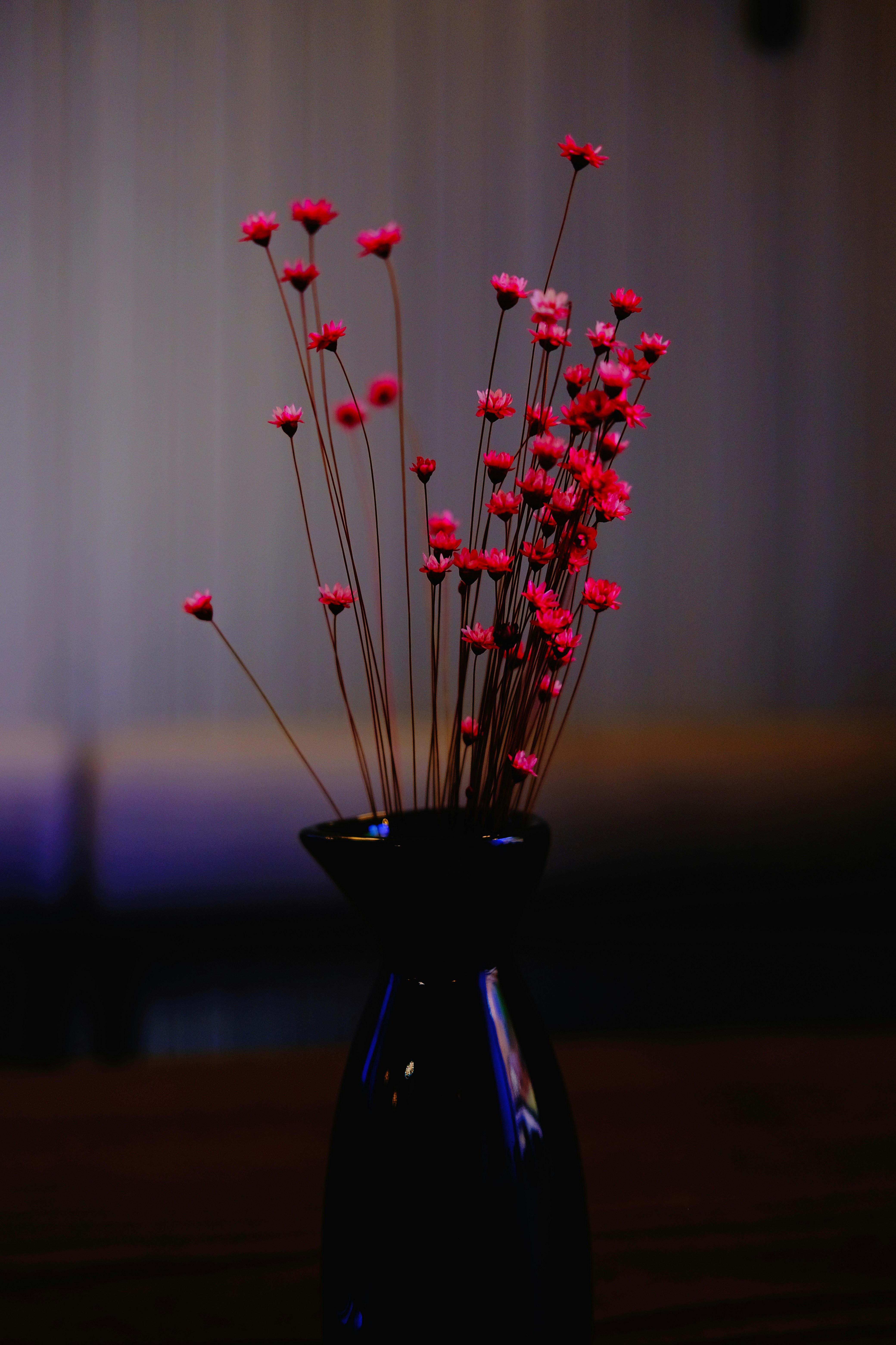 Delicate pink flowers emerge from a sleek black vase, illuminated softly against a blurred background. The composition emphasizes simplicity and elegance.
