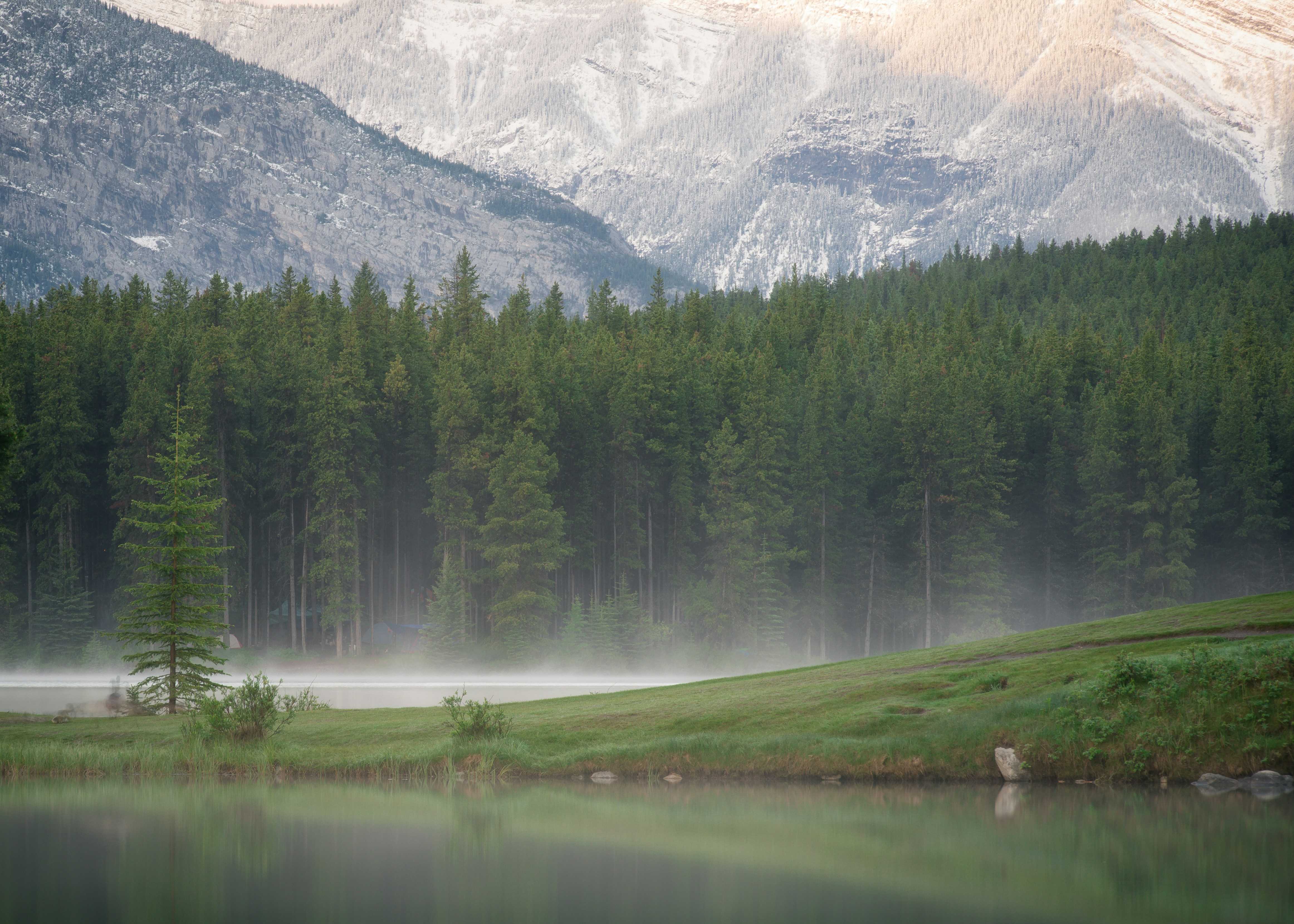 Green pine trees near lake during daytime photo – Free Canmore Image on ...