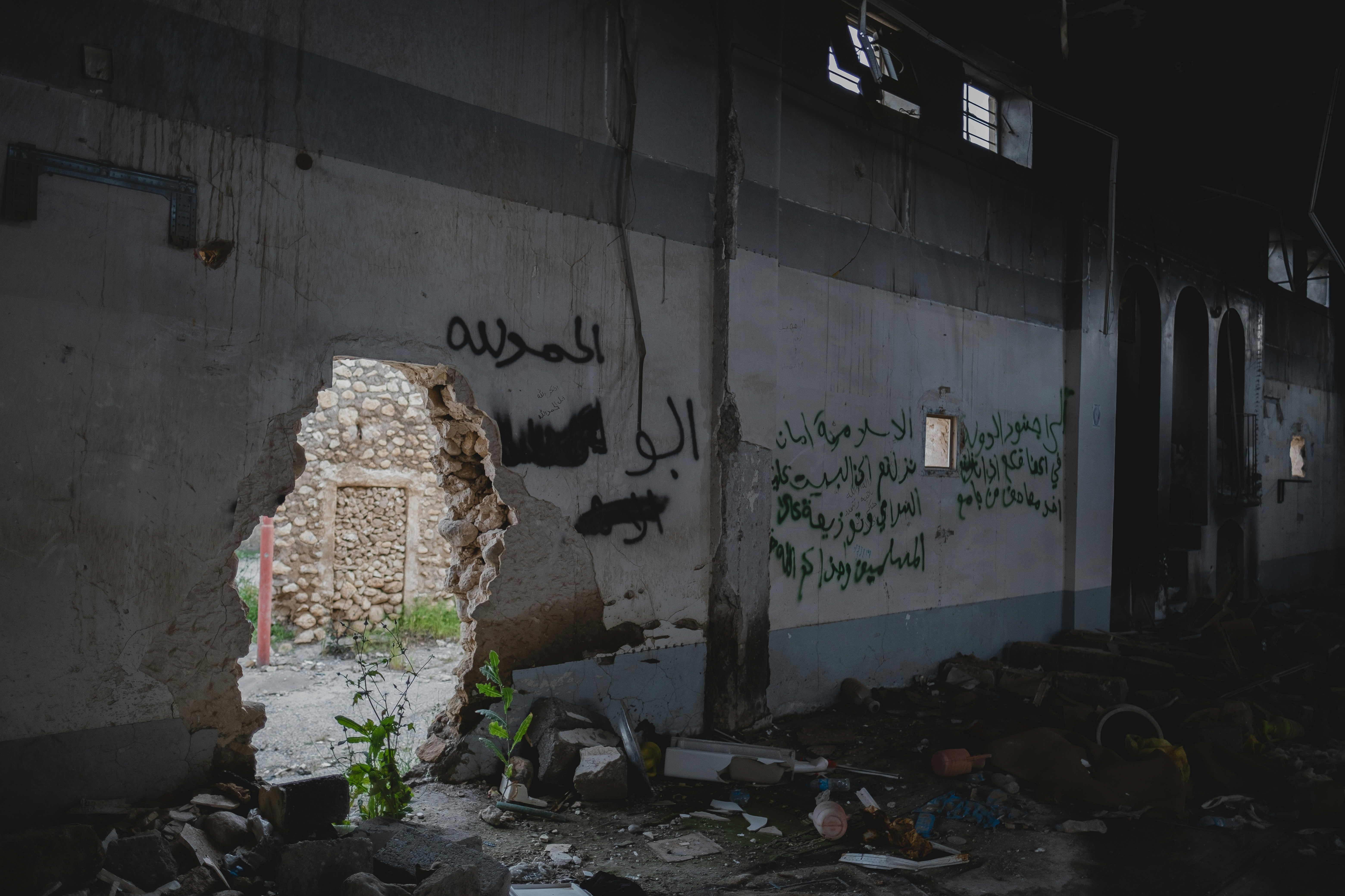 Isis Pictures | Download Free Images on Unsplash