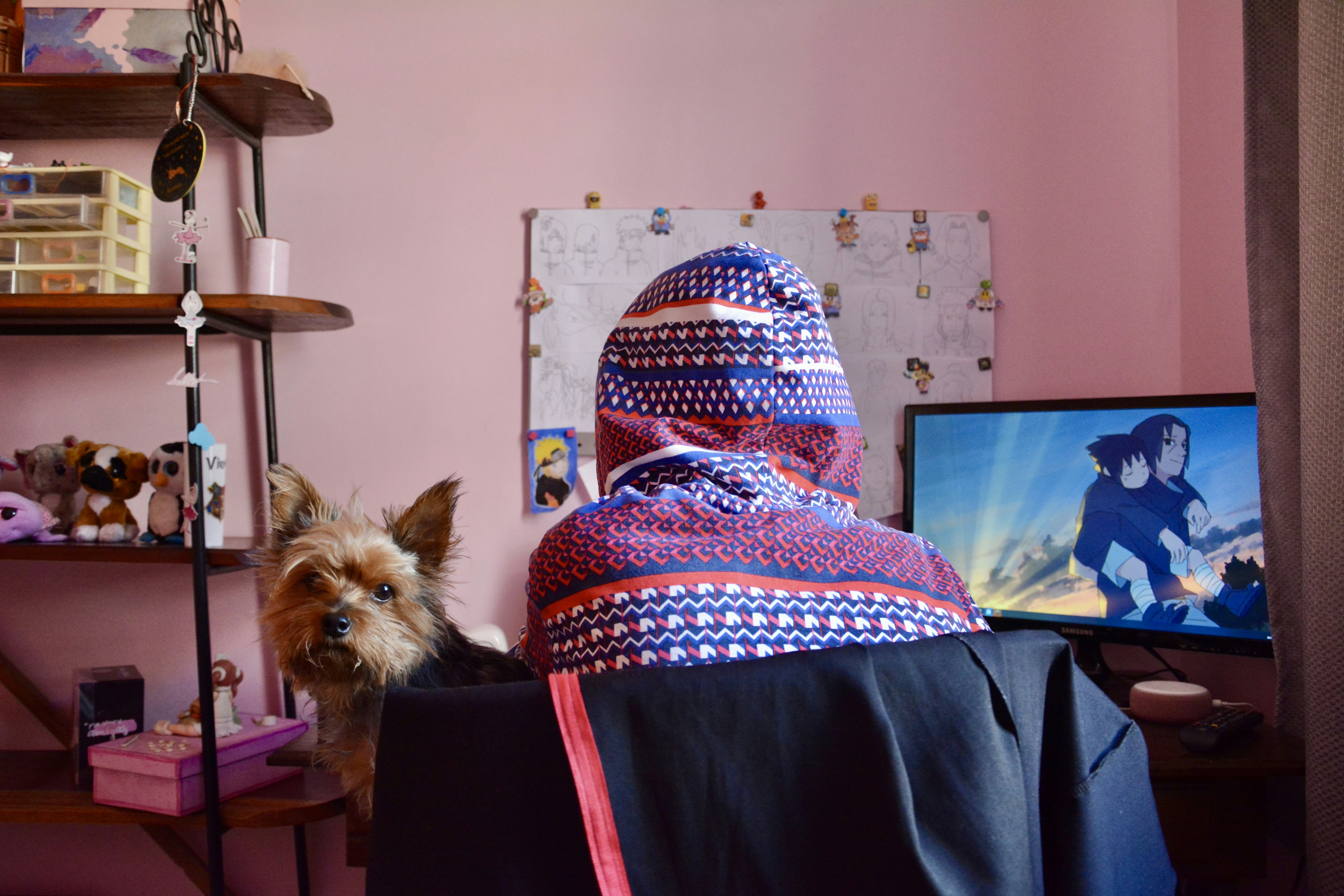 A person wearing a patterned hooded garment sits in front of a computer screen displaying animated characters, with a small dog peeking over the back of the chair. 