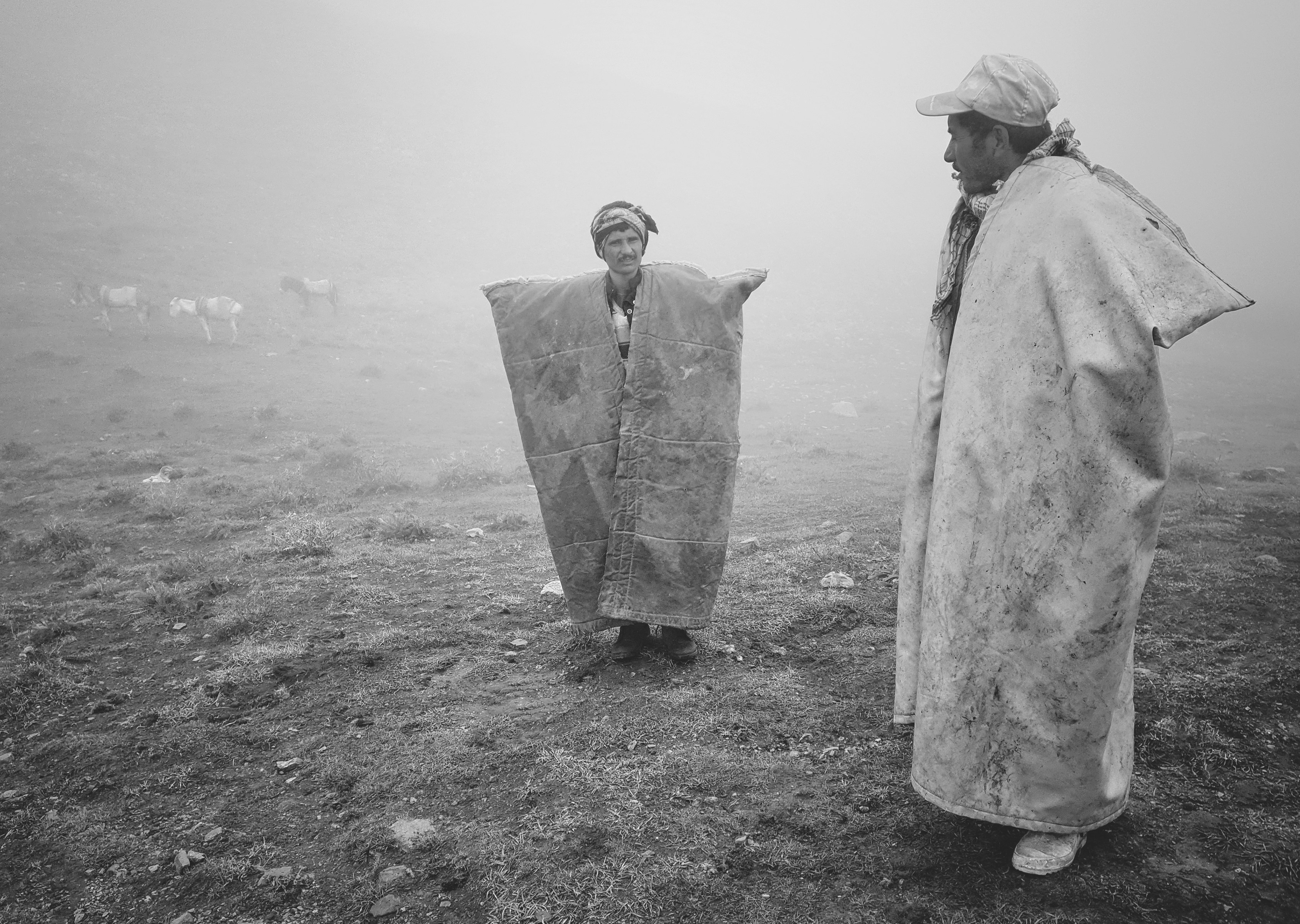 Two shepherds clad in traditional ponchos stand in a foggy landscape, surrounded by sheep. The monochrome tones enhance the atmosphere of their rural setting.