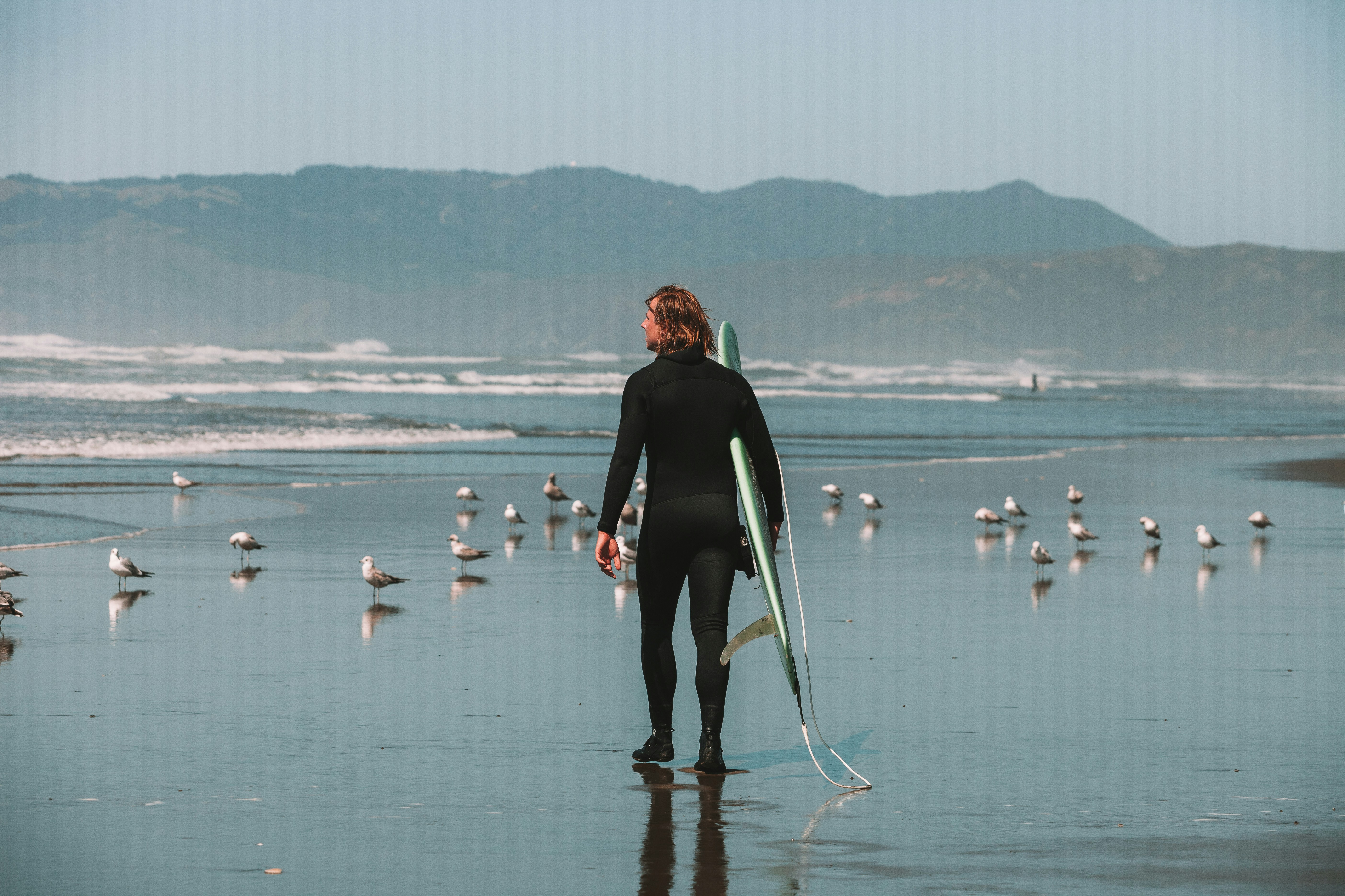 Low-Tide Reverie: A Solitary Surfer Amid Seabird Echoes