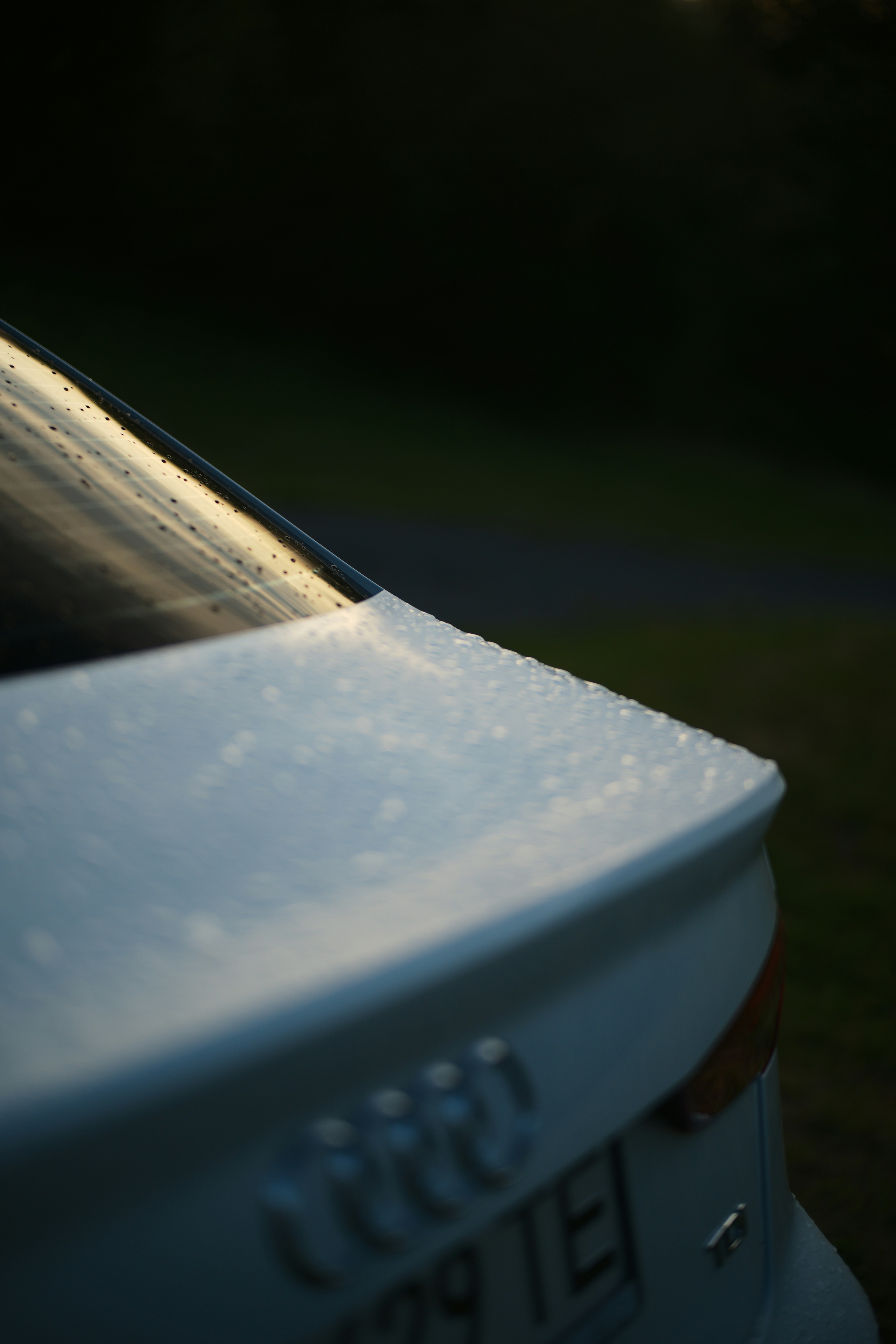 Dew-Crested Contours: a close-up of a white Audi's rear edge at dusk